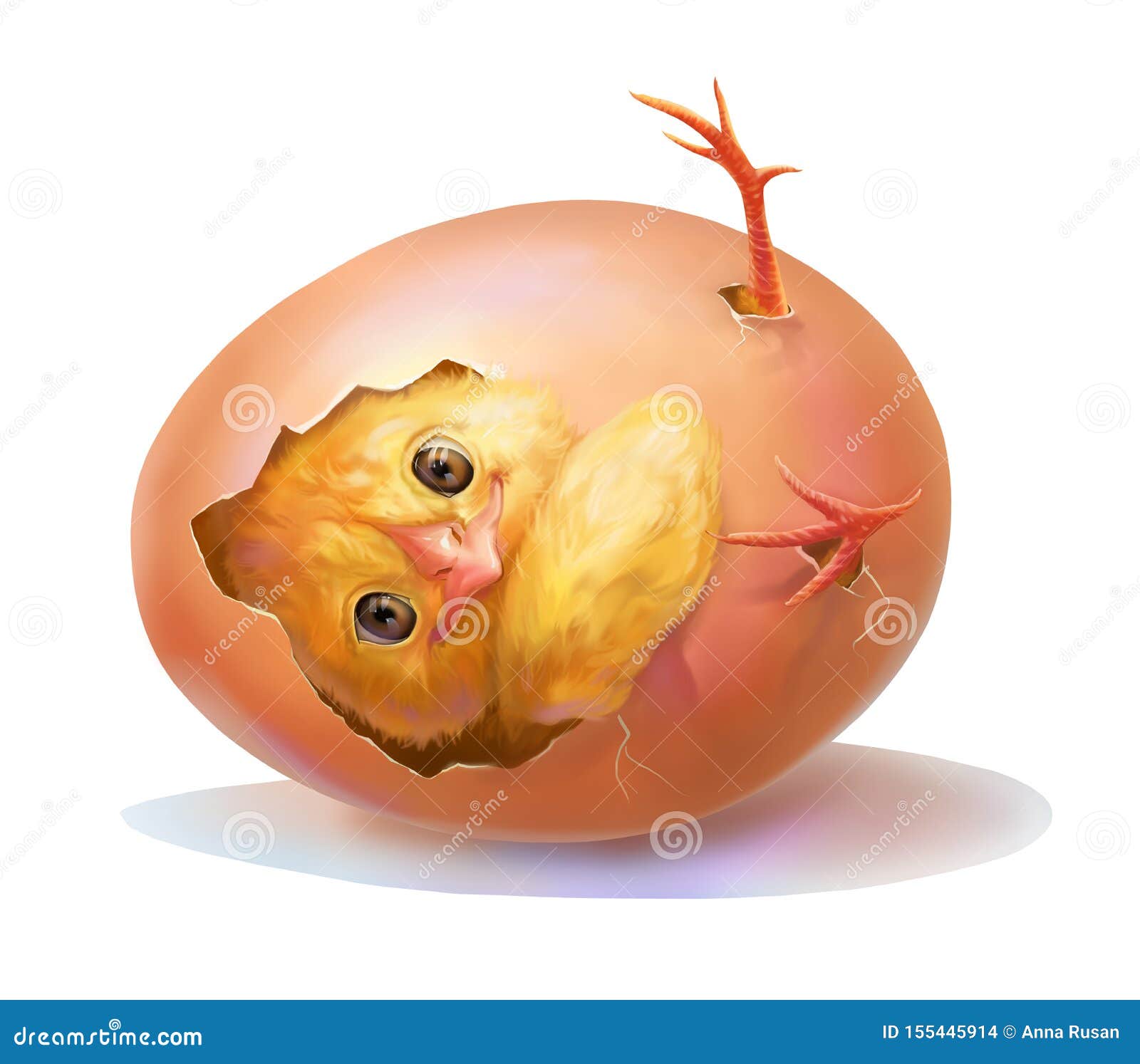 Cracked Egg with a Little Chick Inside Stock Illustration ...