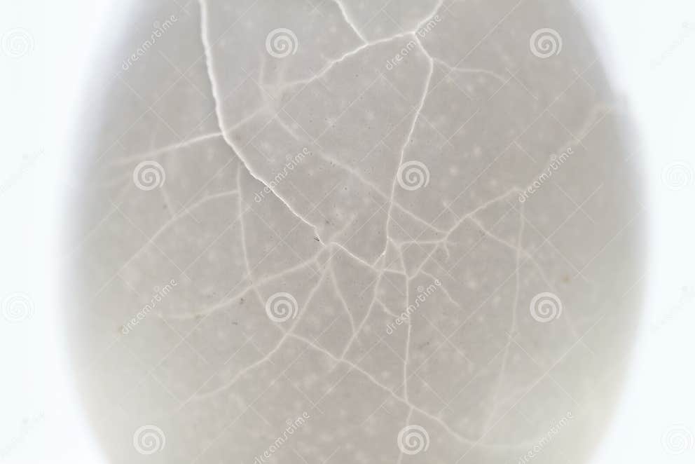 Cracked Egg Shell Closeup Texture. Crack Eggshell Backlight Photo ...