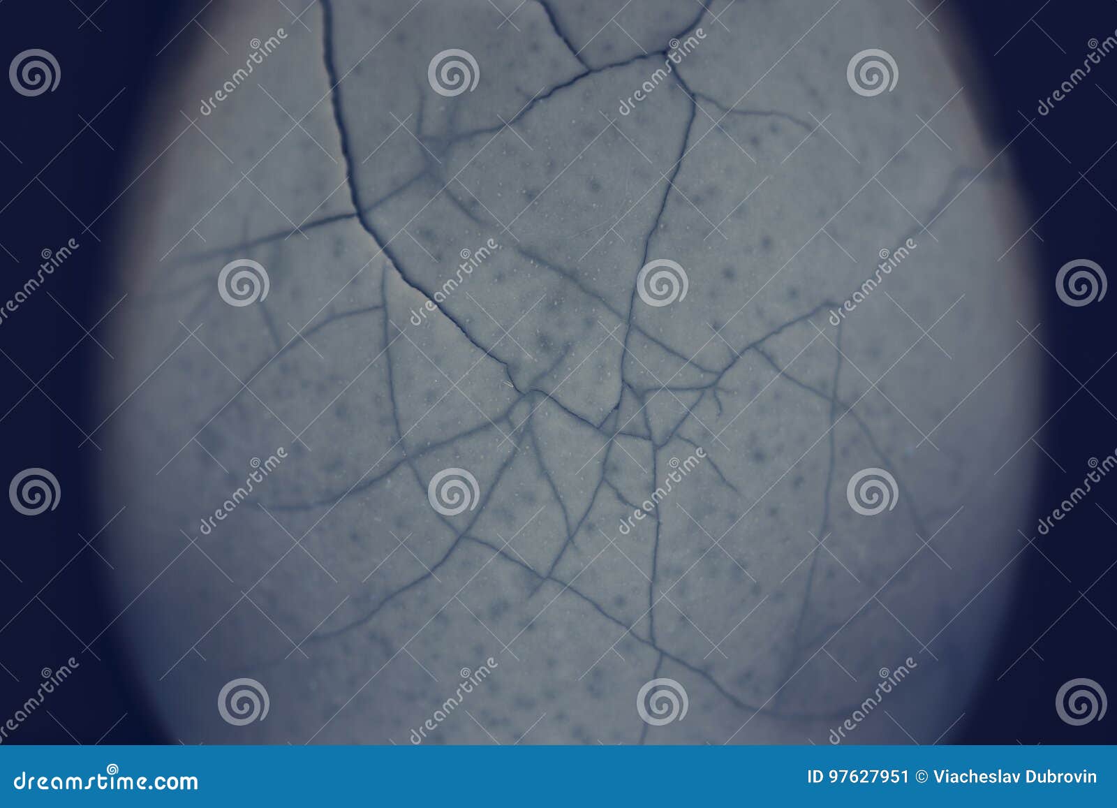 Cracked Egg Shell Closeup Texture. Crack Eggshell Inverted Toned Photo ...