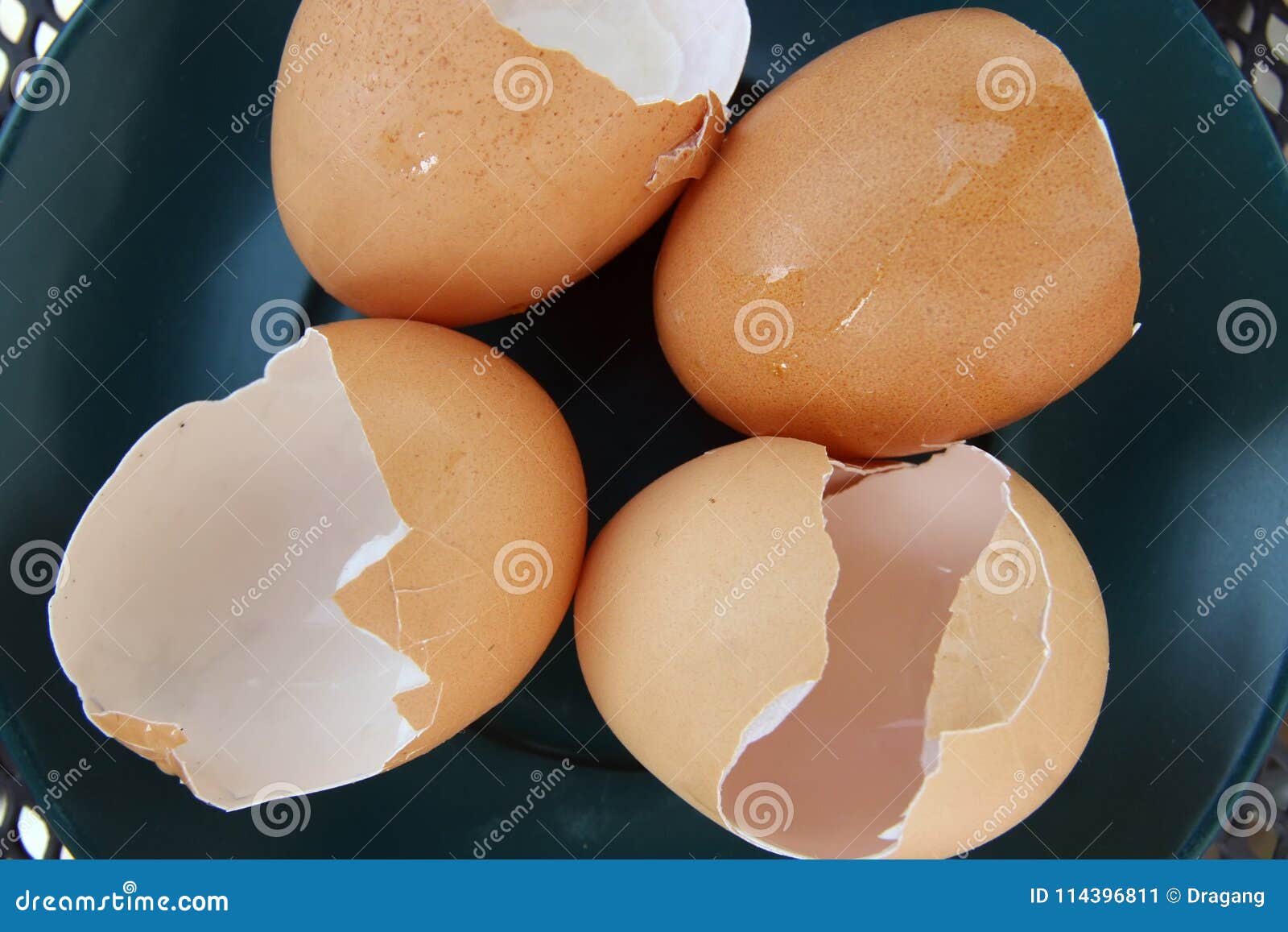 Cracked Egg Shells. Cracked Eggs Stock Image - Image of compost ...
