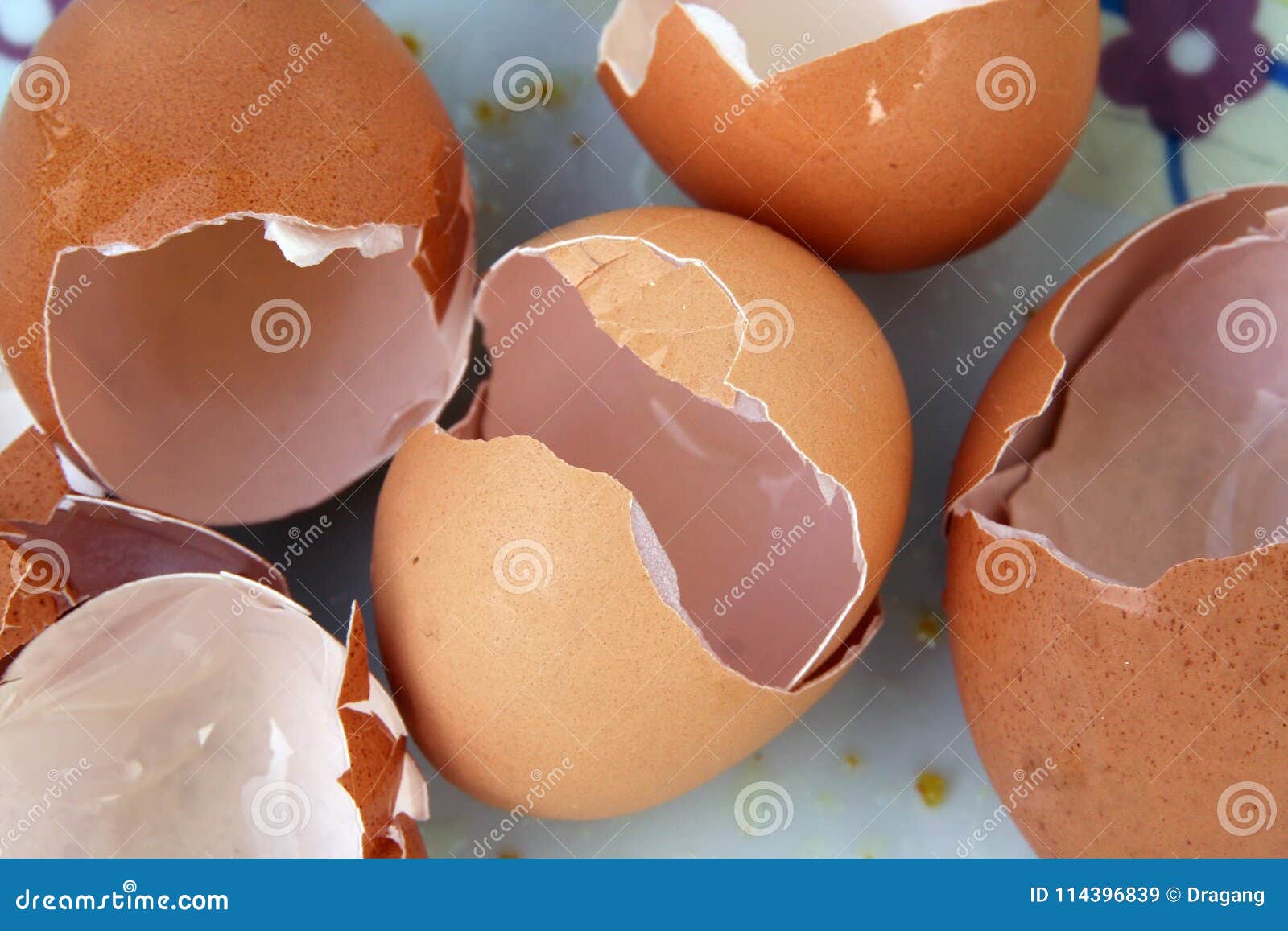 Cracked Egg Shells. Cracked Eggs Stock Image - Image of crack, empty ...