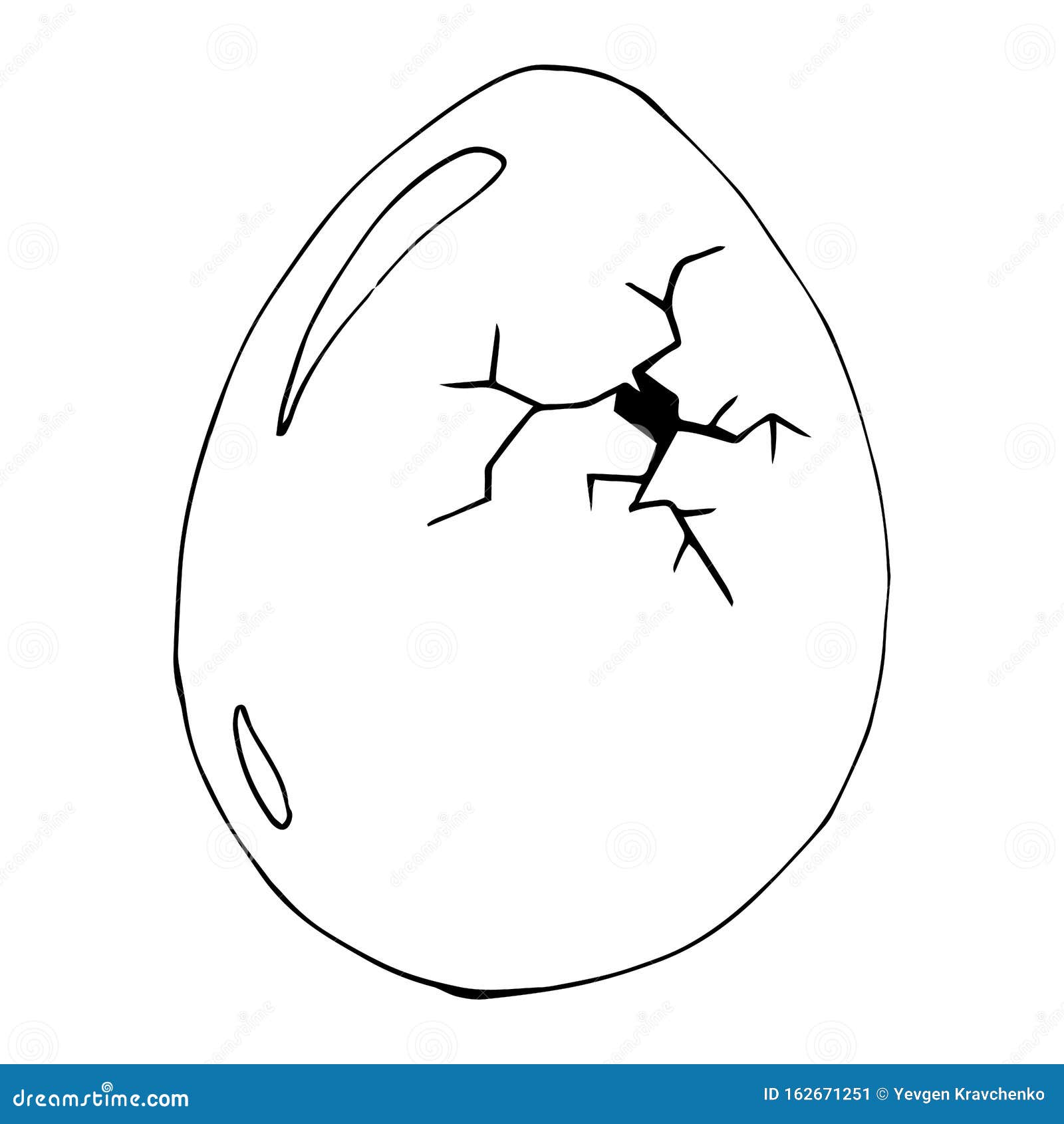 Cracked Egg Vector