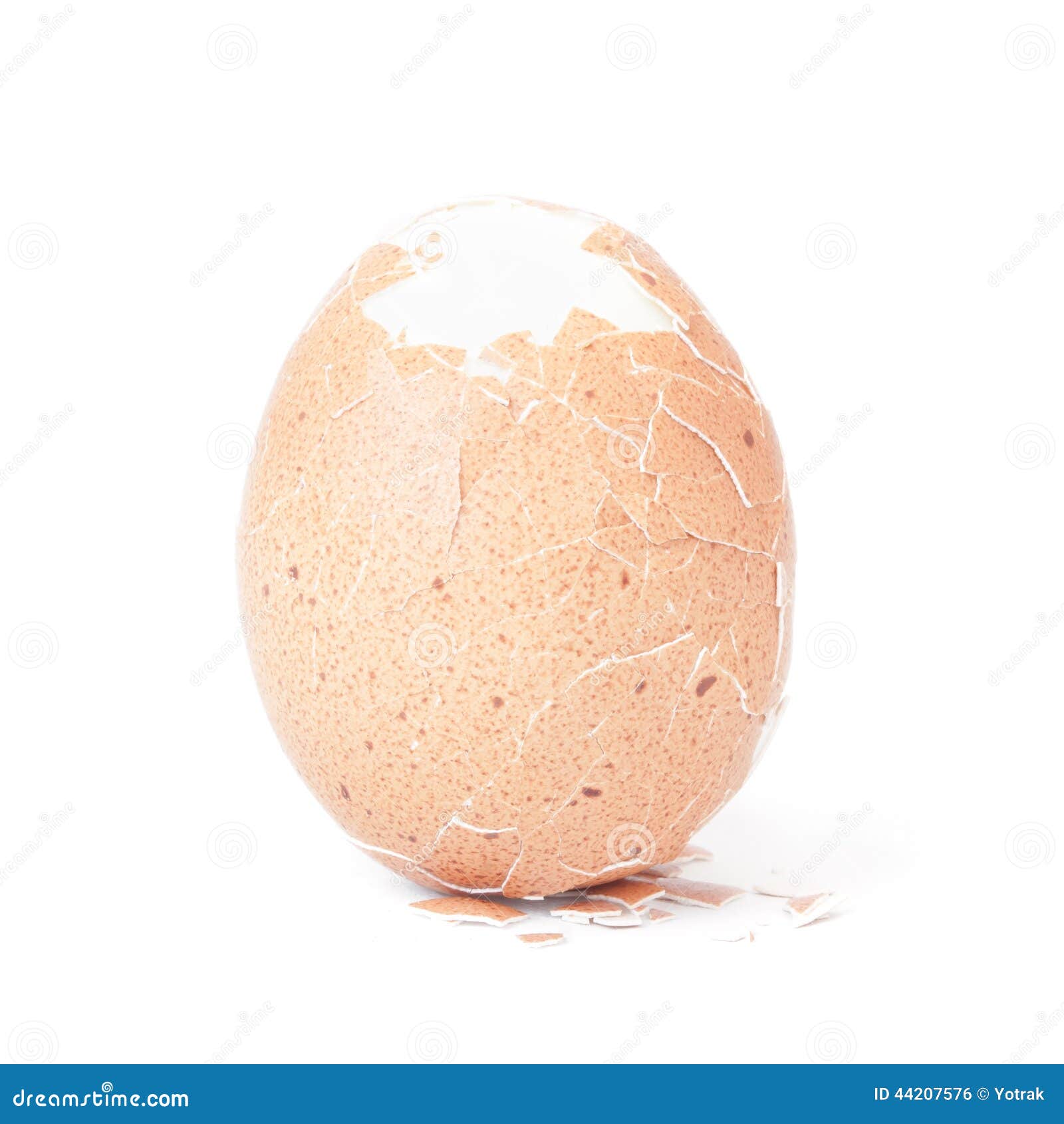 Cracked egg stock photo. Image of break, macro, eggshell - 44207576