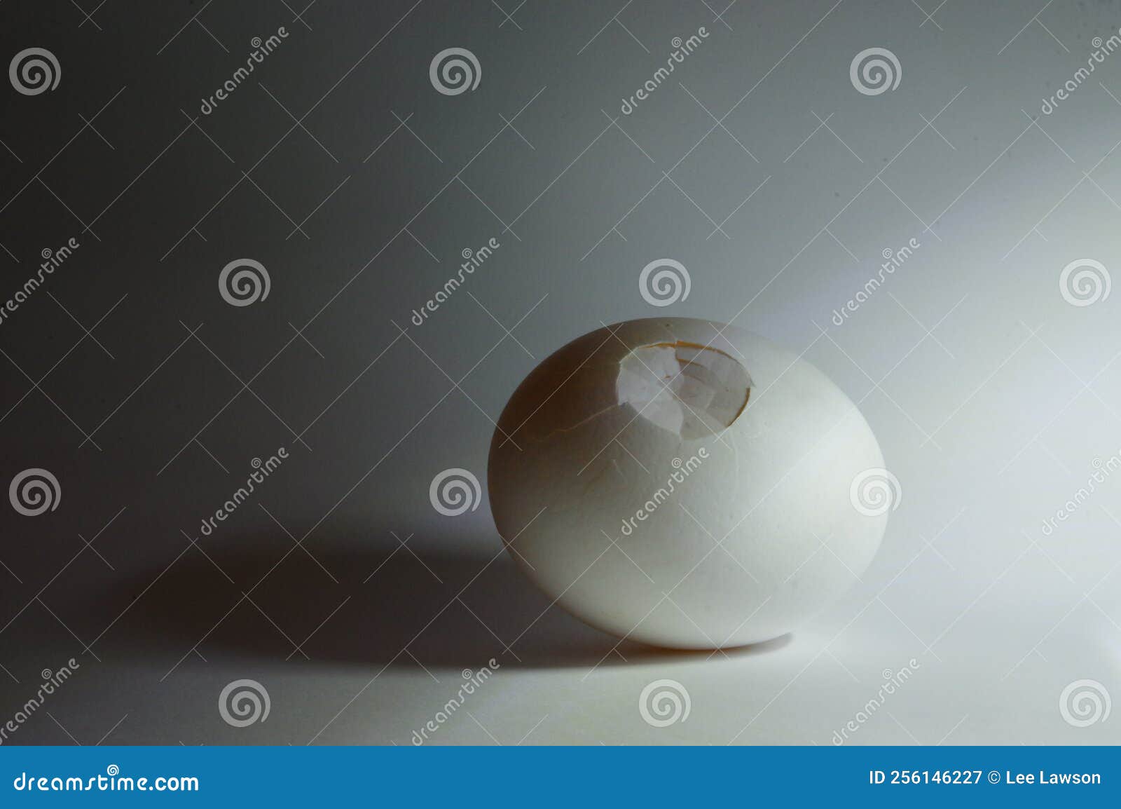 Cracked Egg on White Background with Shadows Stock Image - Image of ...