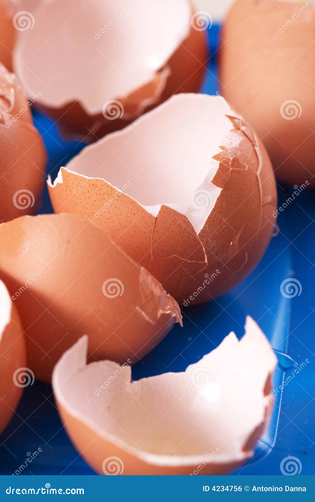 Cracked eggs shell stock photo. Image of protection, shell - 4234756
