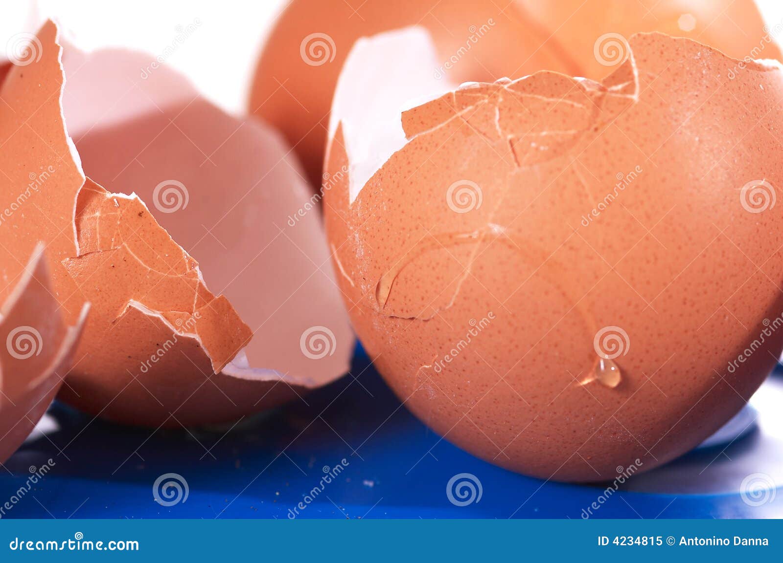 Cracked eggs shell stock image. Image of break, shell - 4234815