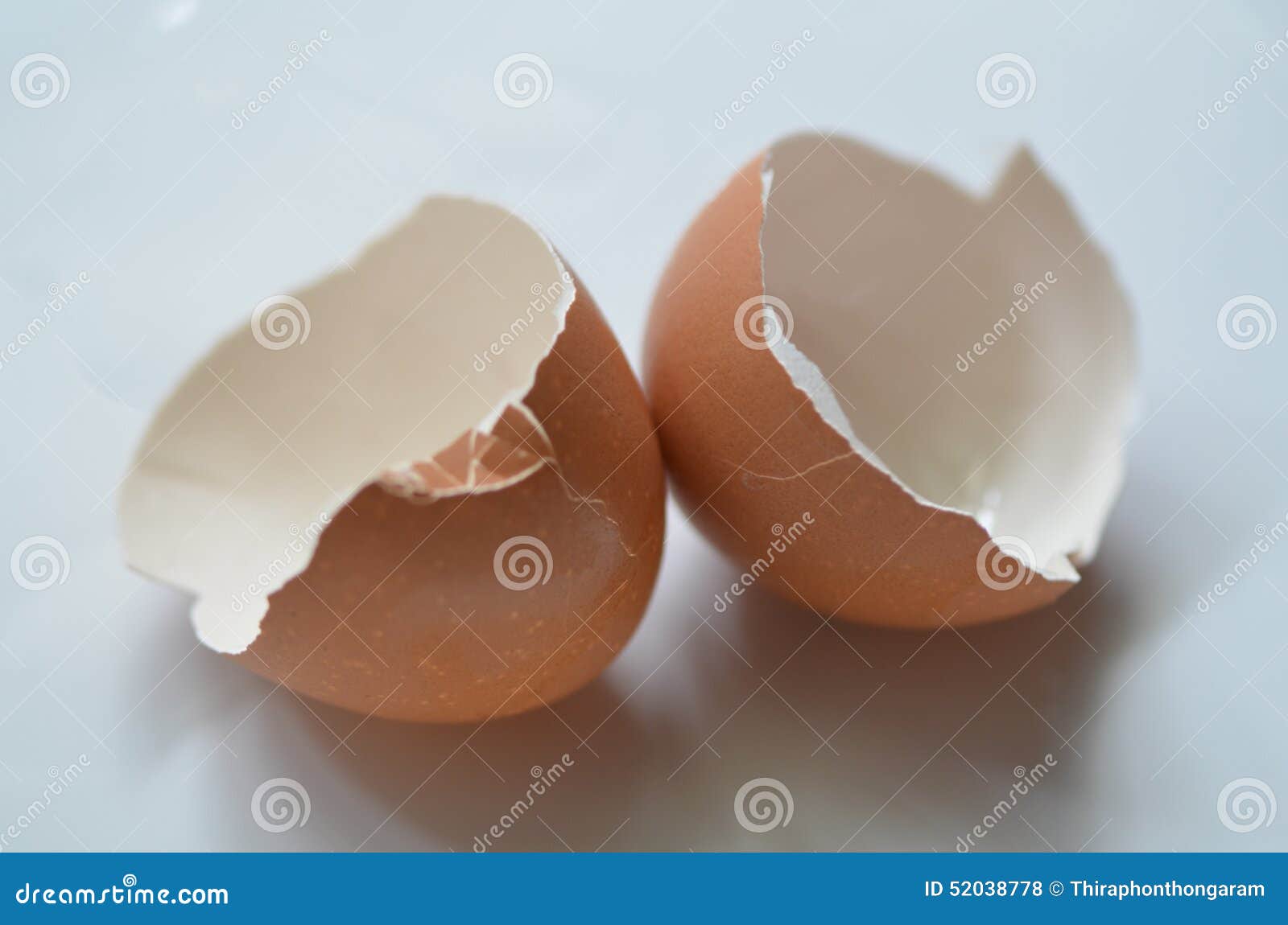Cracked eggshell stock photo. Image of eggshell, imagination - 52038778