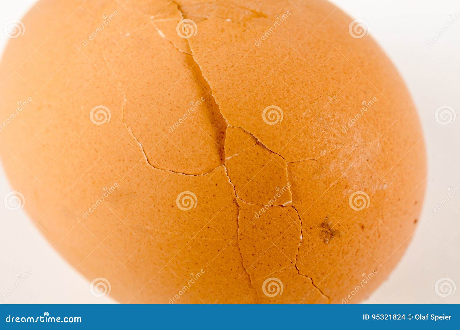 Cracked eggshell stock photo. Image of cracked, shell - 95321824