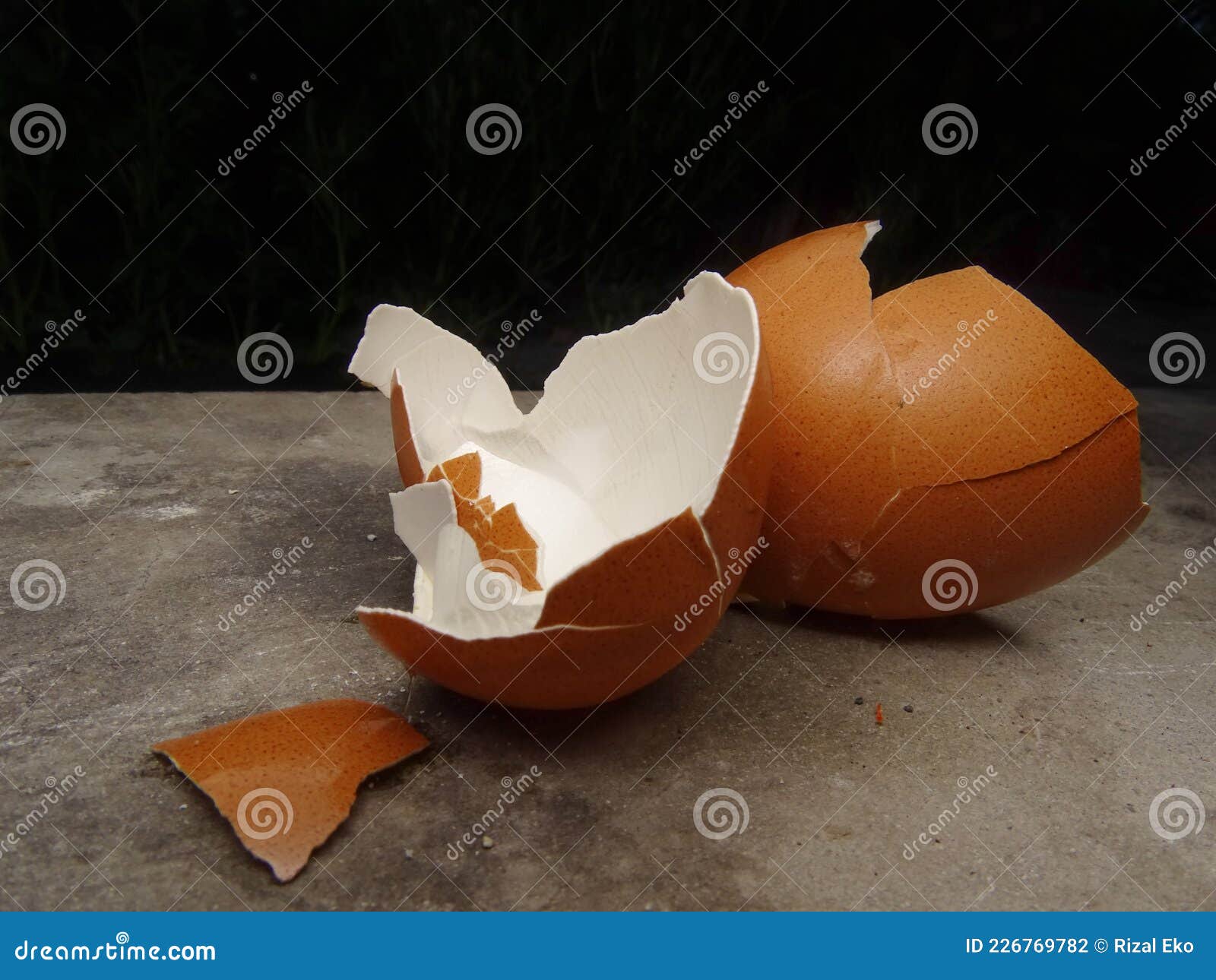 Cracked Eggshell Dark Background Stock Photo - Image of leaf, plant ...