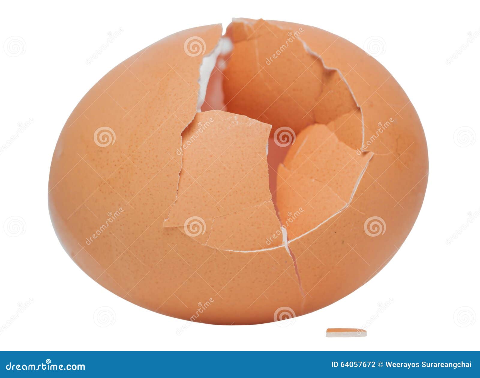 A cracked eggshell. stock photo. Image of shell, white - 64057672