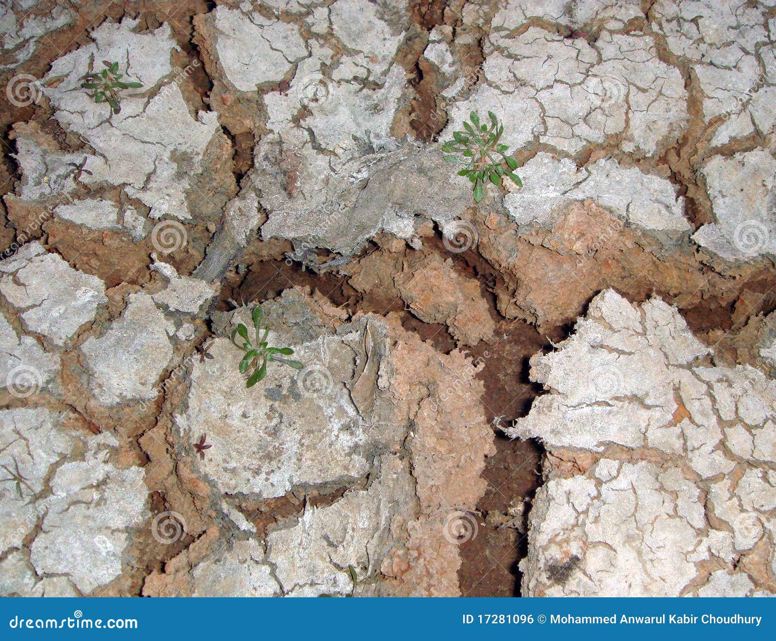 Cracked field stock photo. Image of ground, arid, dirt - 17281096