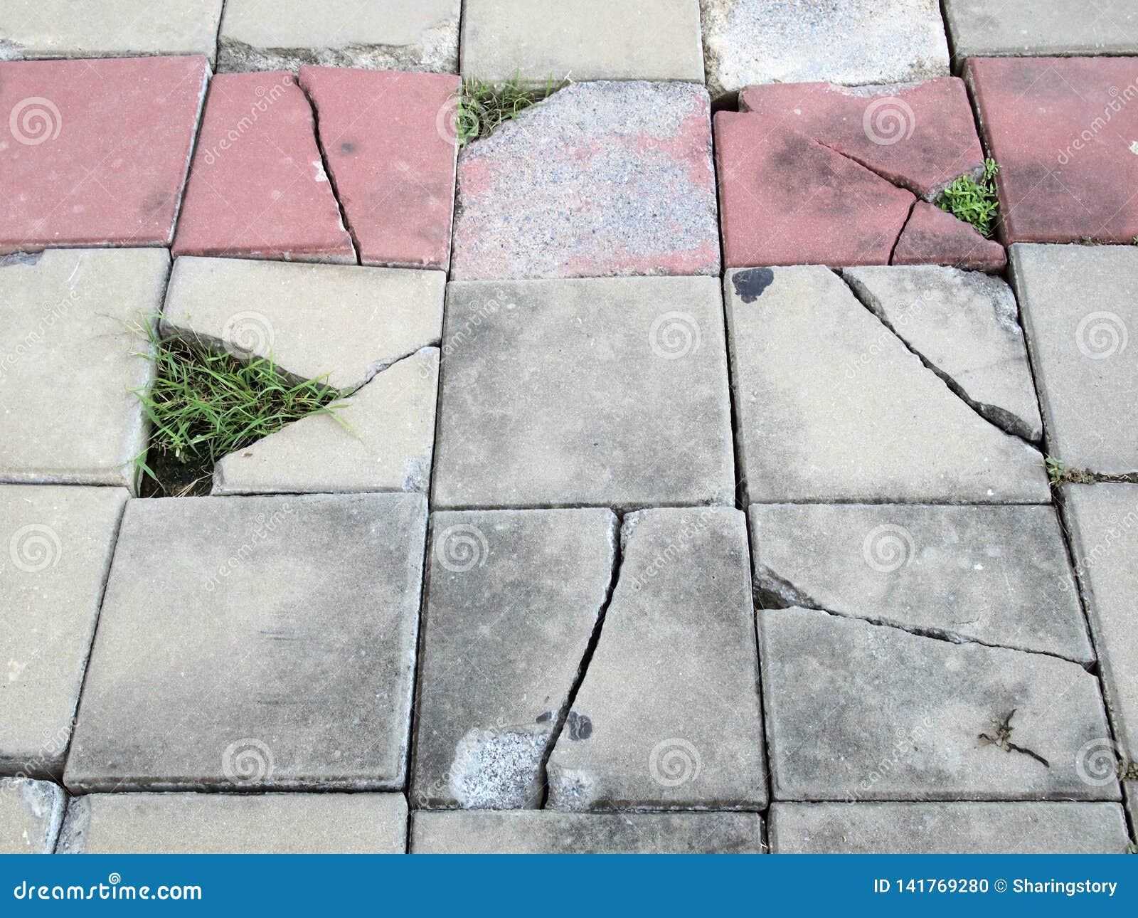 Cracked floor texture stock photo. Image of broken, crack - 141769280