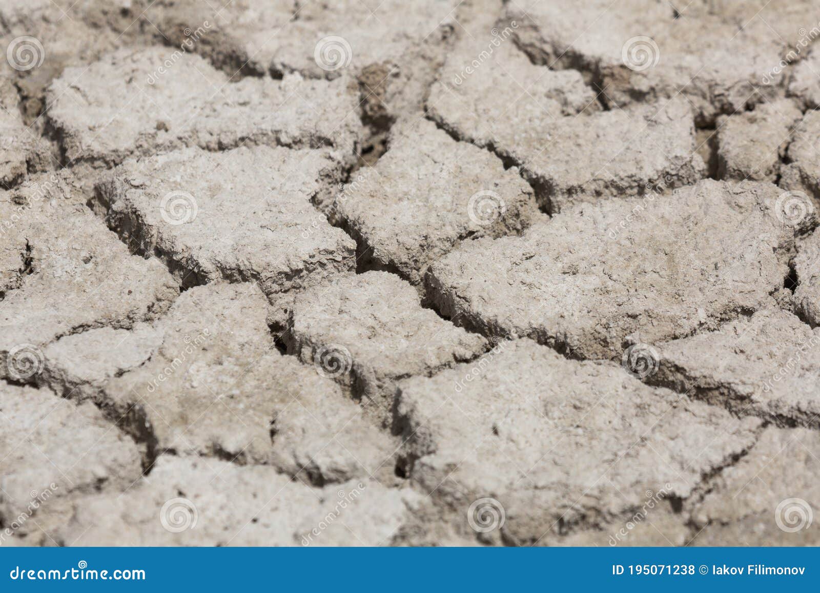 Cracked gray ground stock photo. Image of desert, grunge - 195071238