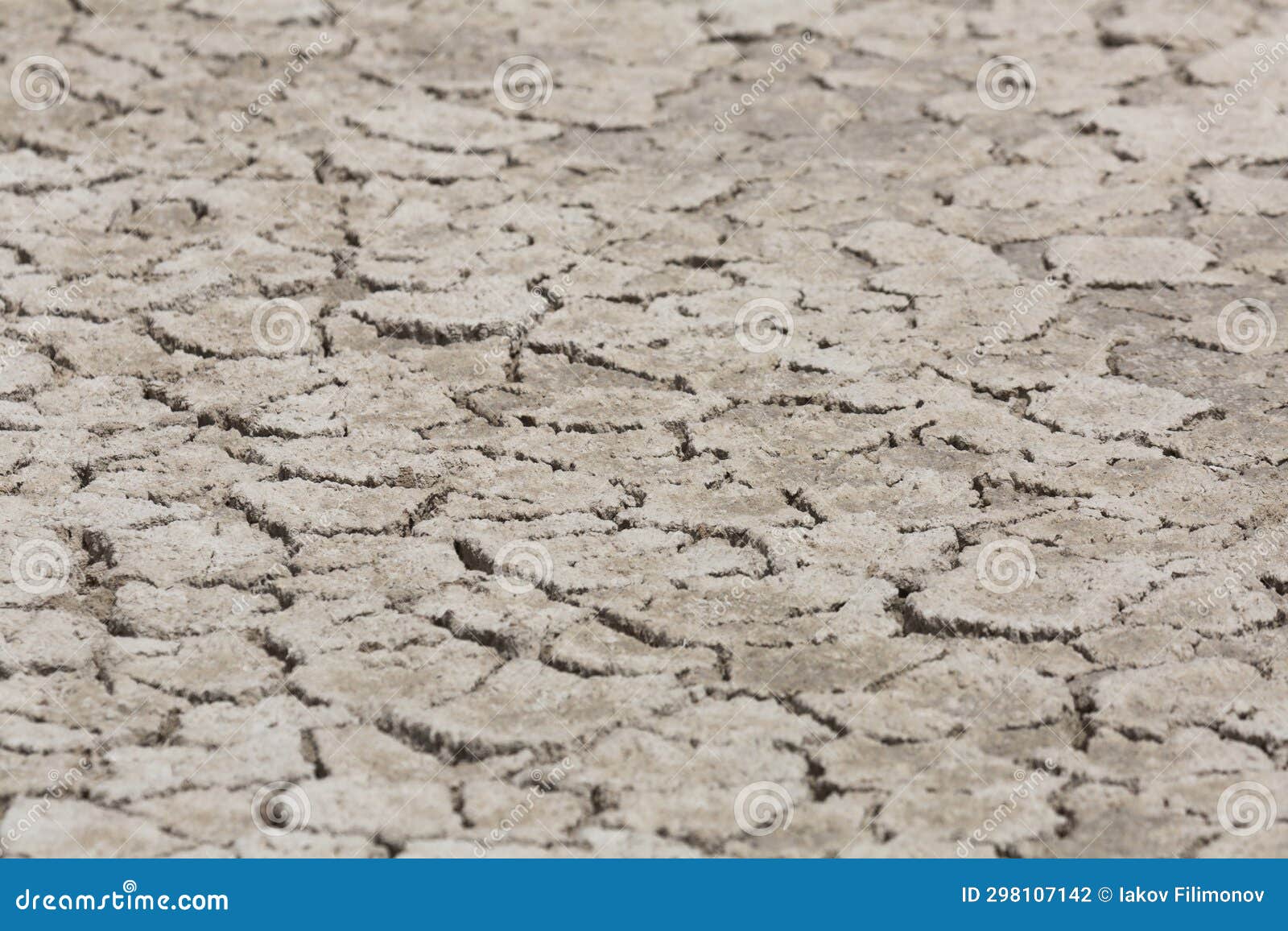 Cracked gray ground stock photo. Image of environment - 298107142