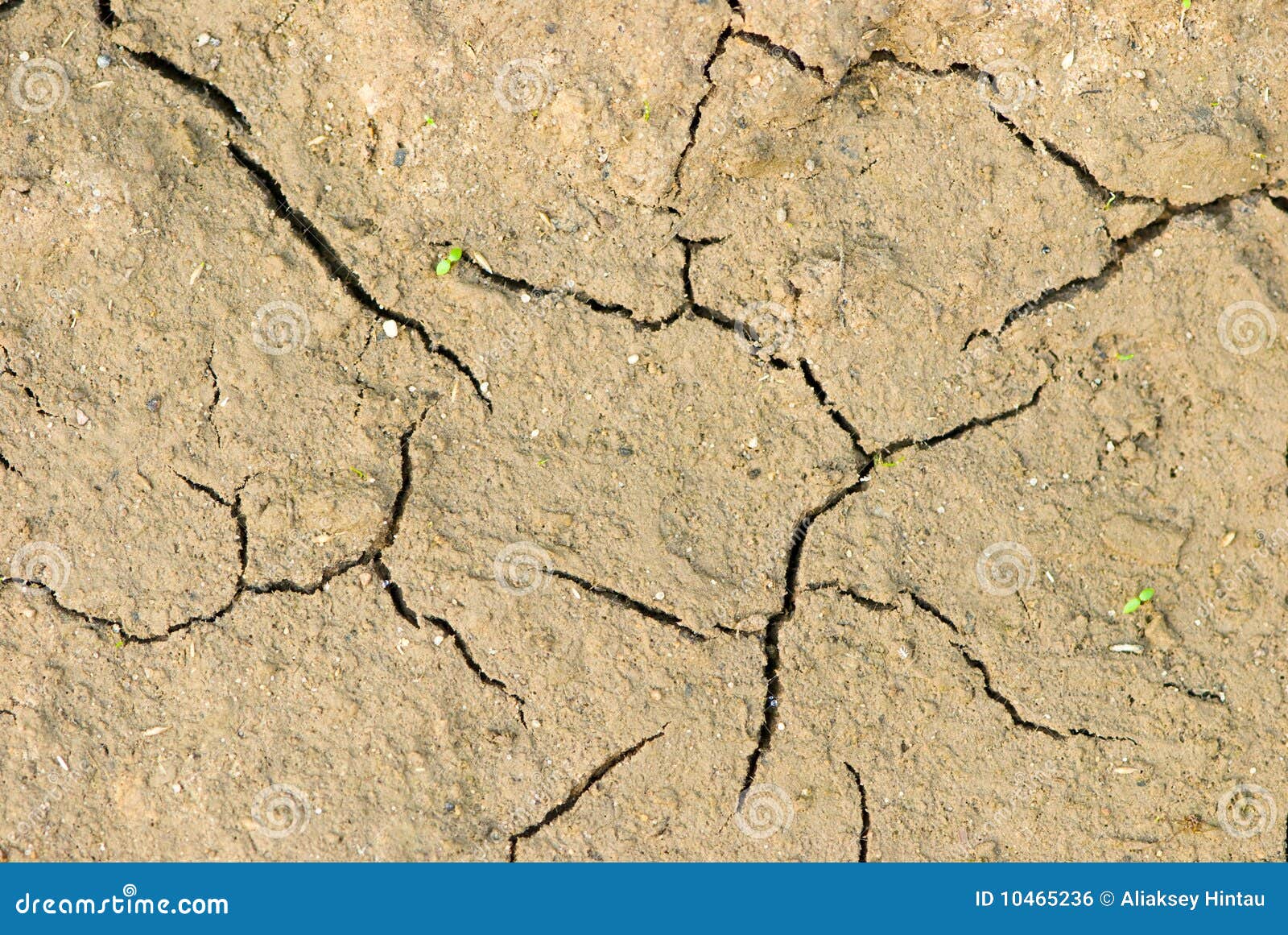 Cracked ground stock photo. Image of land, earth, global - 10465236