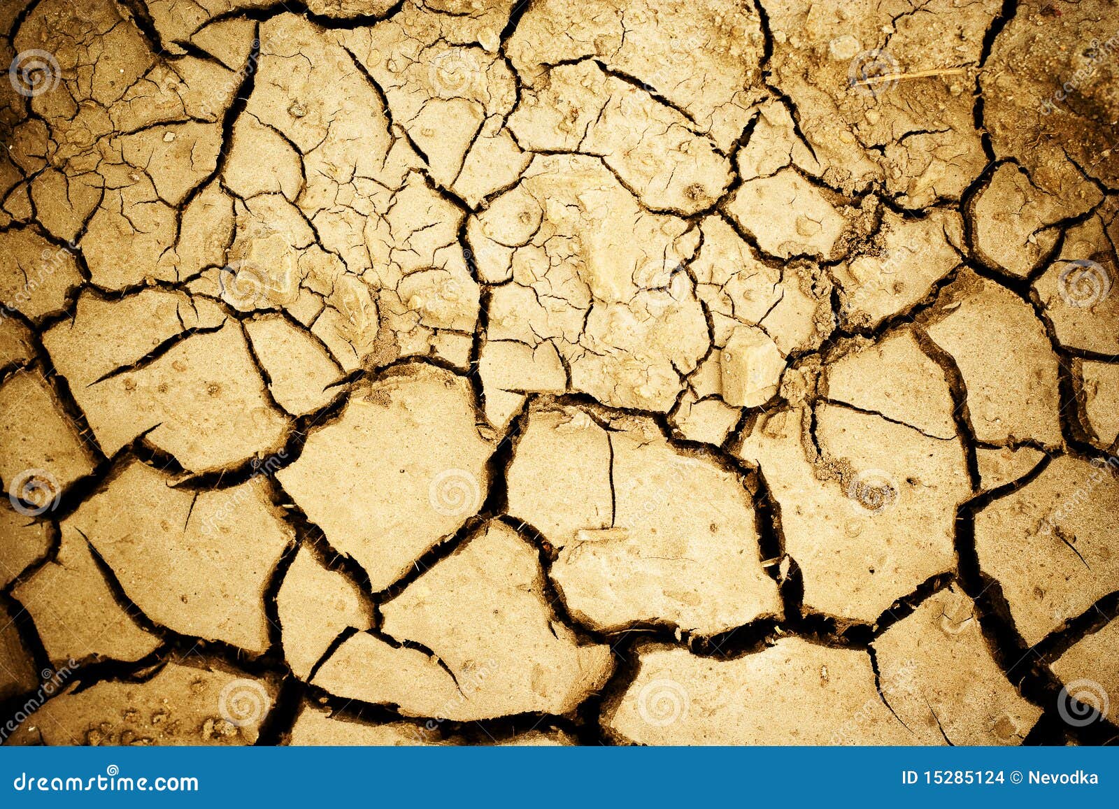 Cracked ground stock photo. Image of disaster, detail - 15285124