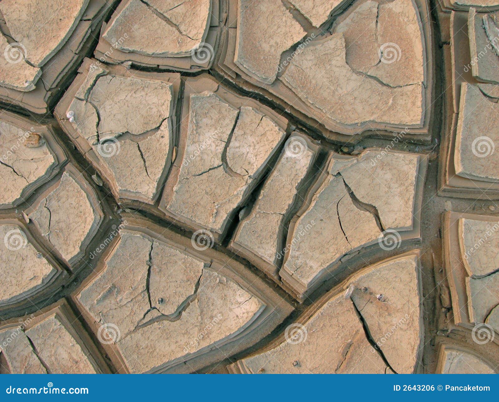 Cracked ground stock photo. Image of aridity, ecology - 2643206