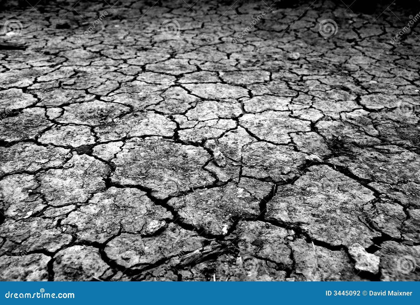 Cracked ground stock photo. Image of field, death, evaporate - 3445092