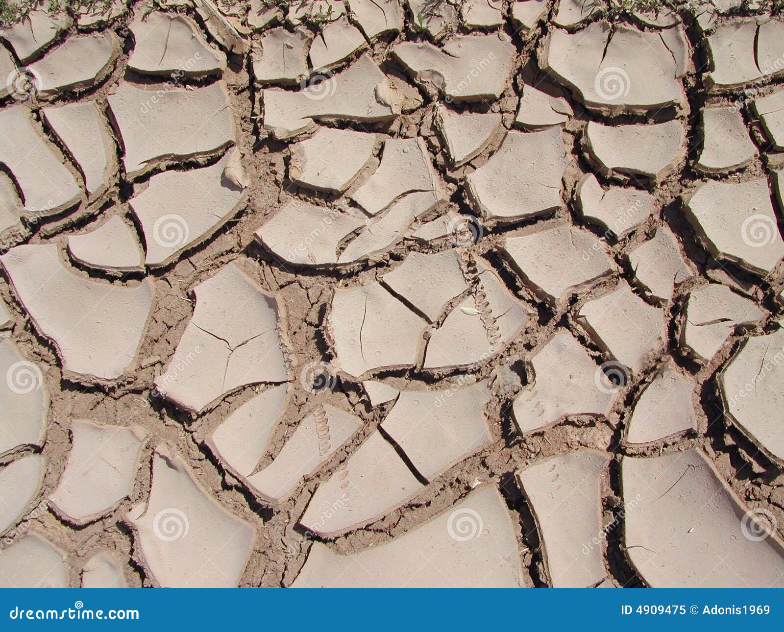 Cracked ground stock image. Image of soil, wasteland, coarse - 4909475