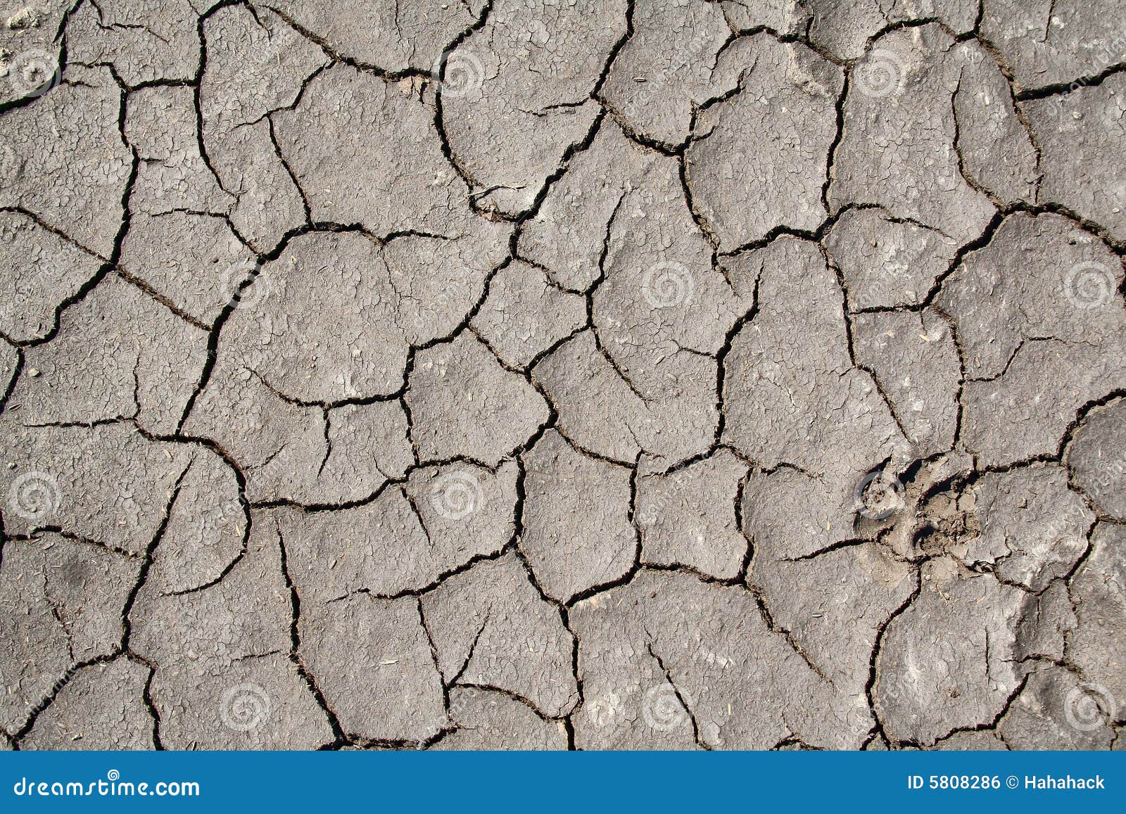 Cracked ground stock photo. Image of desert, waterless - 5808286