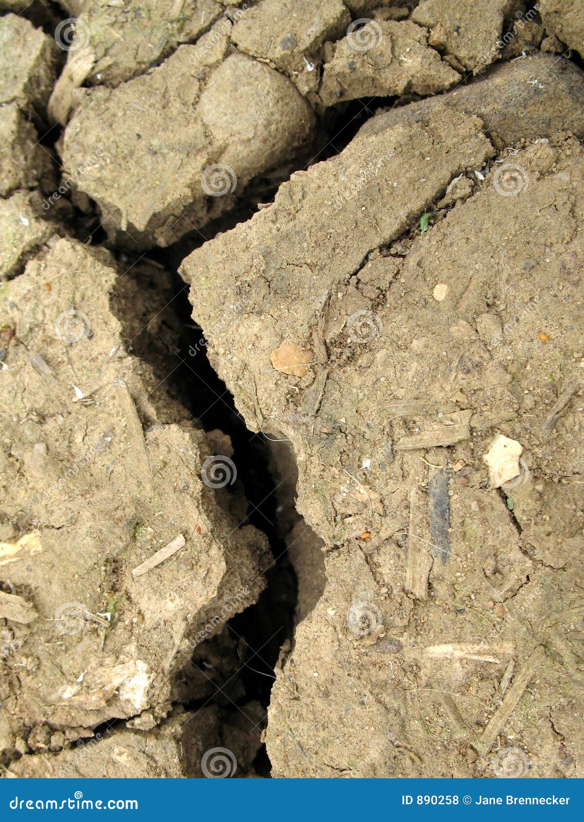 Cracked ground stock photo. Image of dried, cracked, soil - 890258