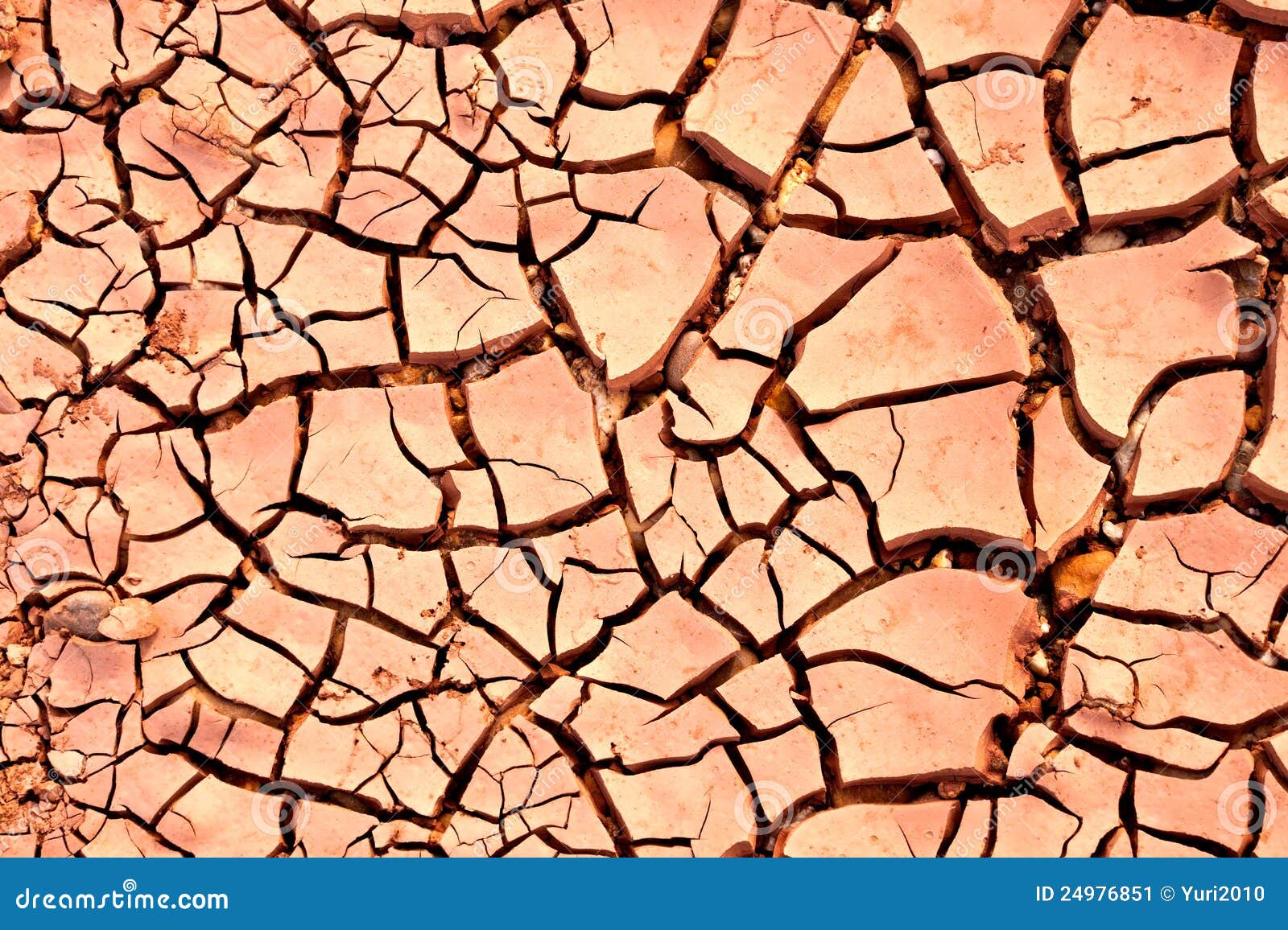 Cracked ground background. stock image. Image of plant - 24976851