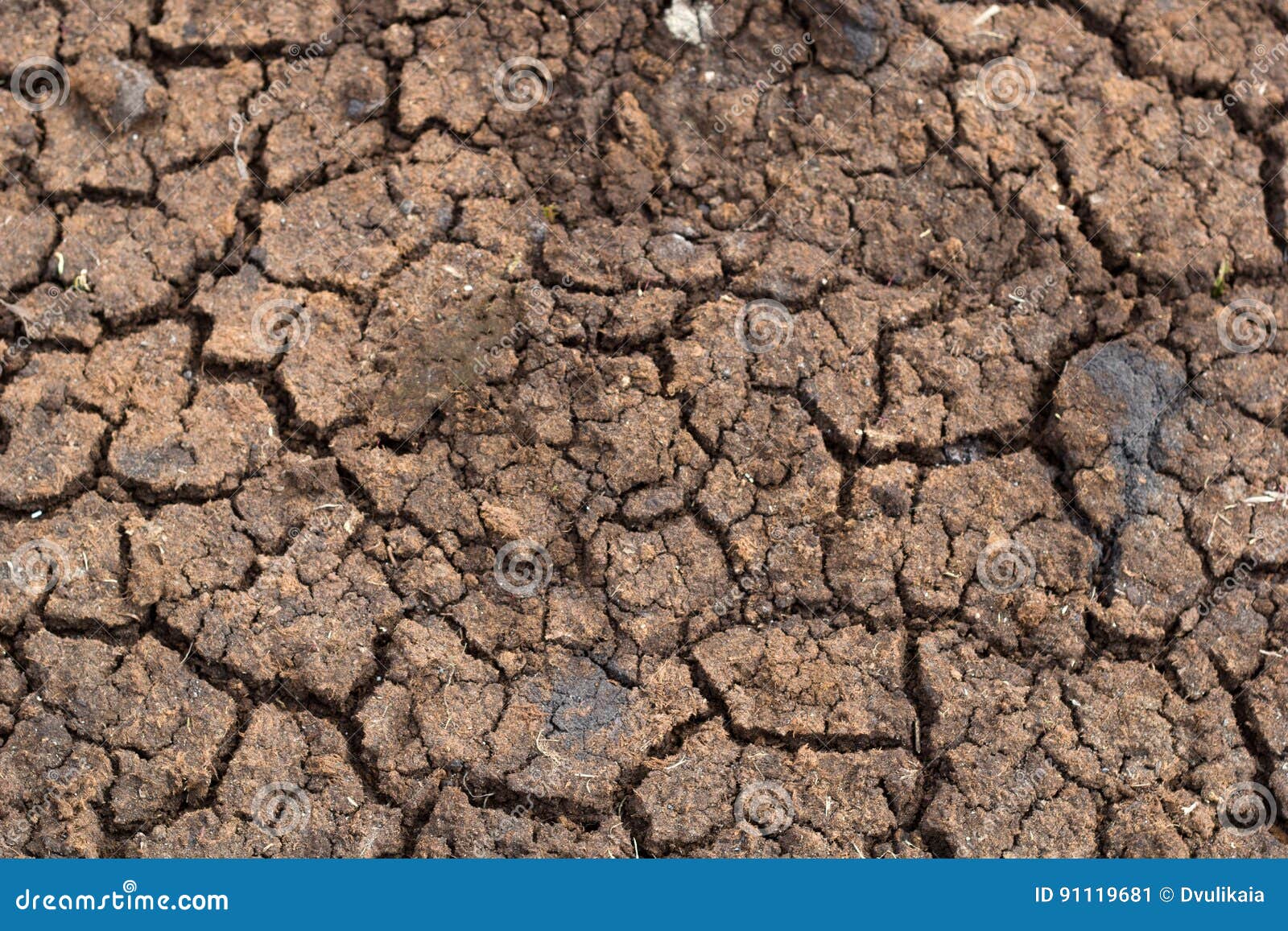 Cracked ground stock image. Image of ground, character - 91119681