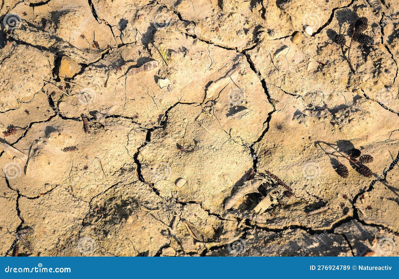 Cracked Ground for Background. Stock Image - Image of detail, crack ...