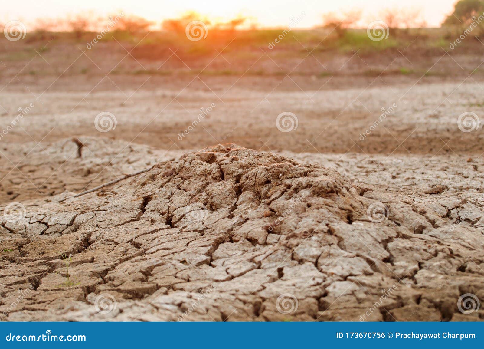 Cracked Ground Cause of Drought Effect Stock Photo - Image of cause ...