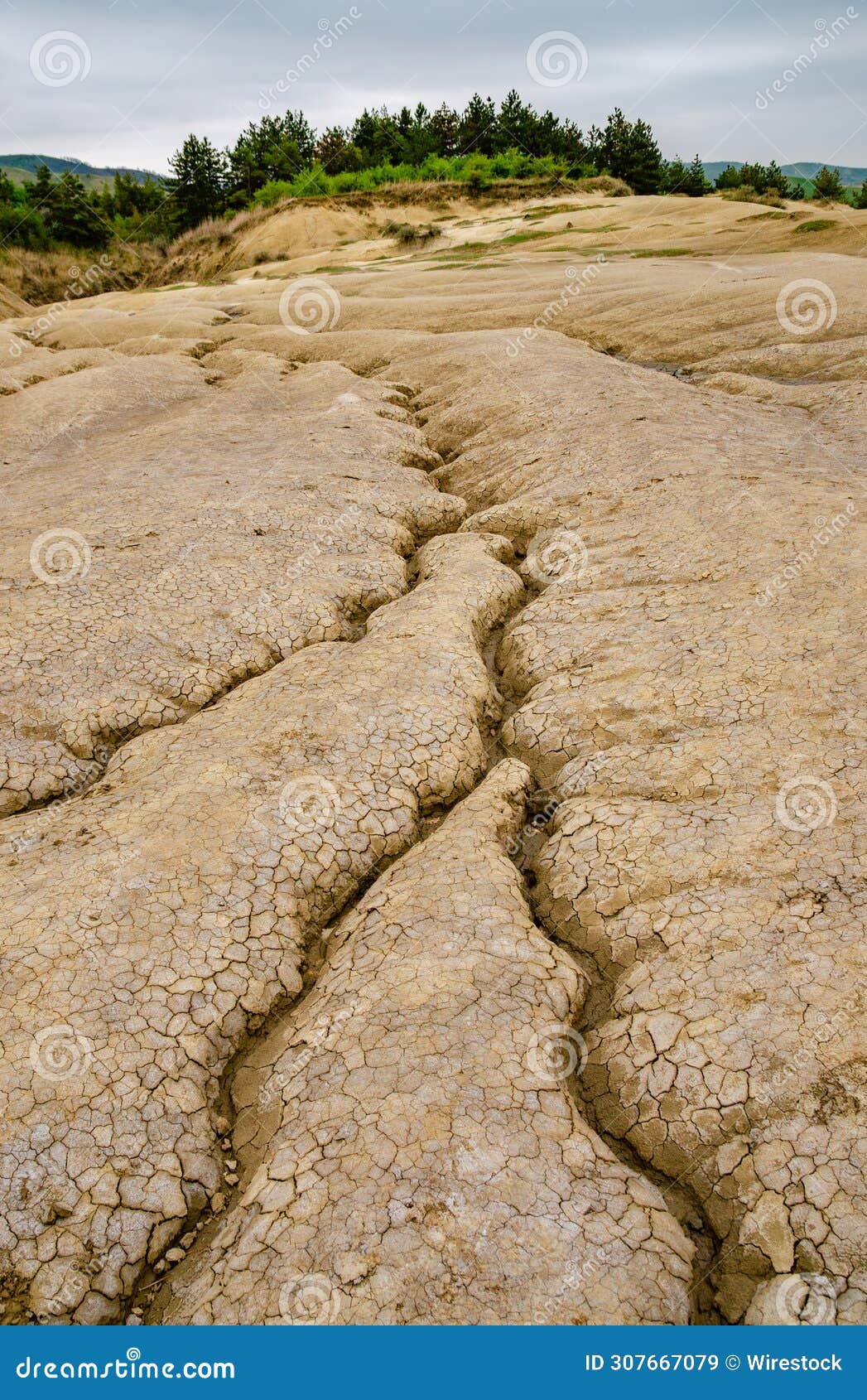 Cracked Ground on Cliff S Edge with Distant Forest Stock Image - Image ...