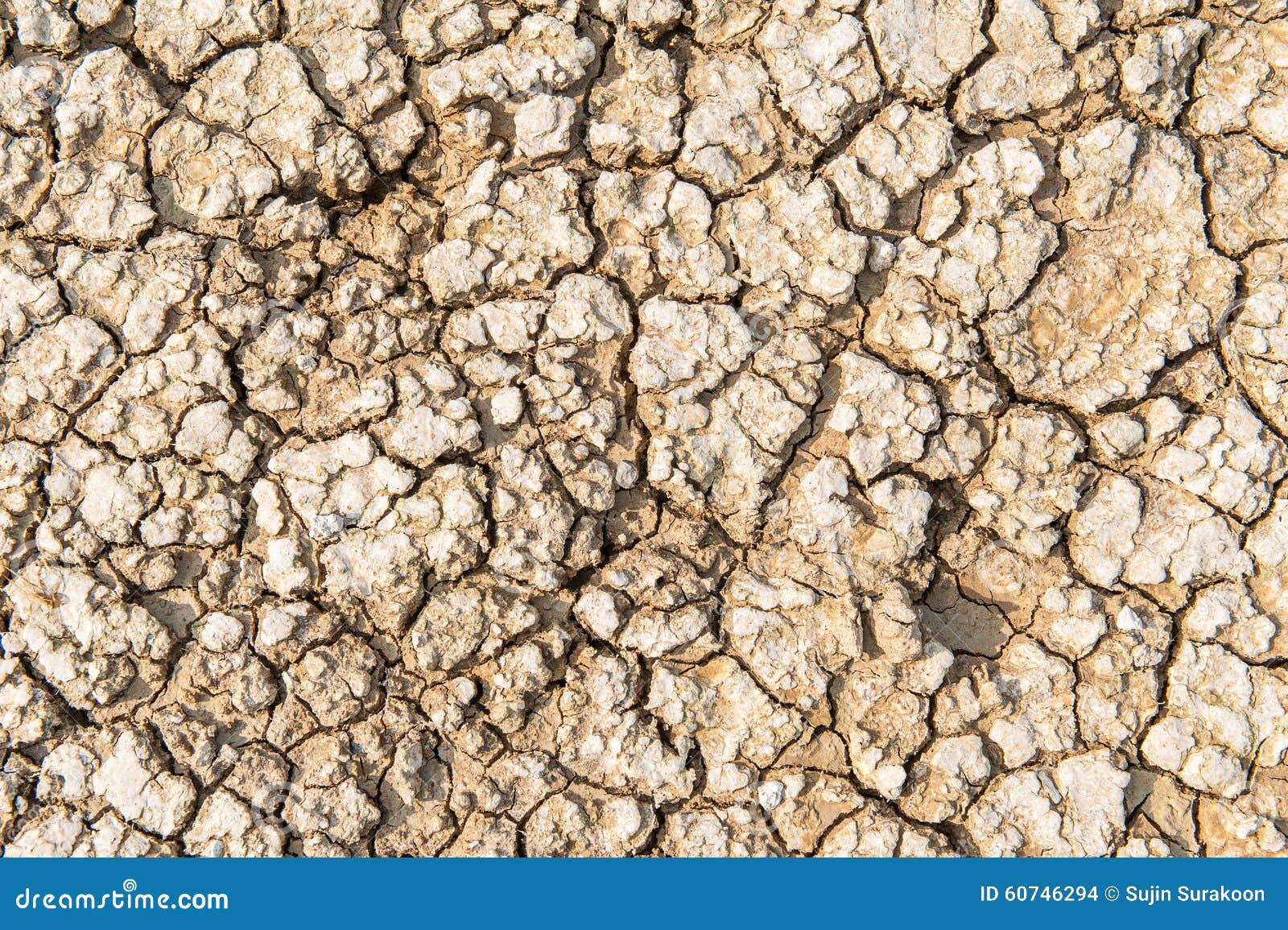 The cracked ground stock photo. Image of barren, cracked - 60746294