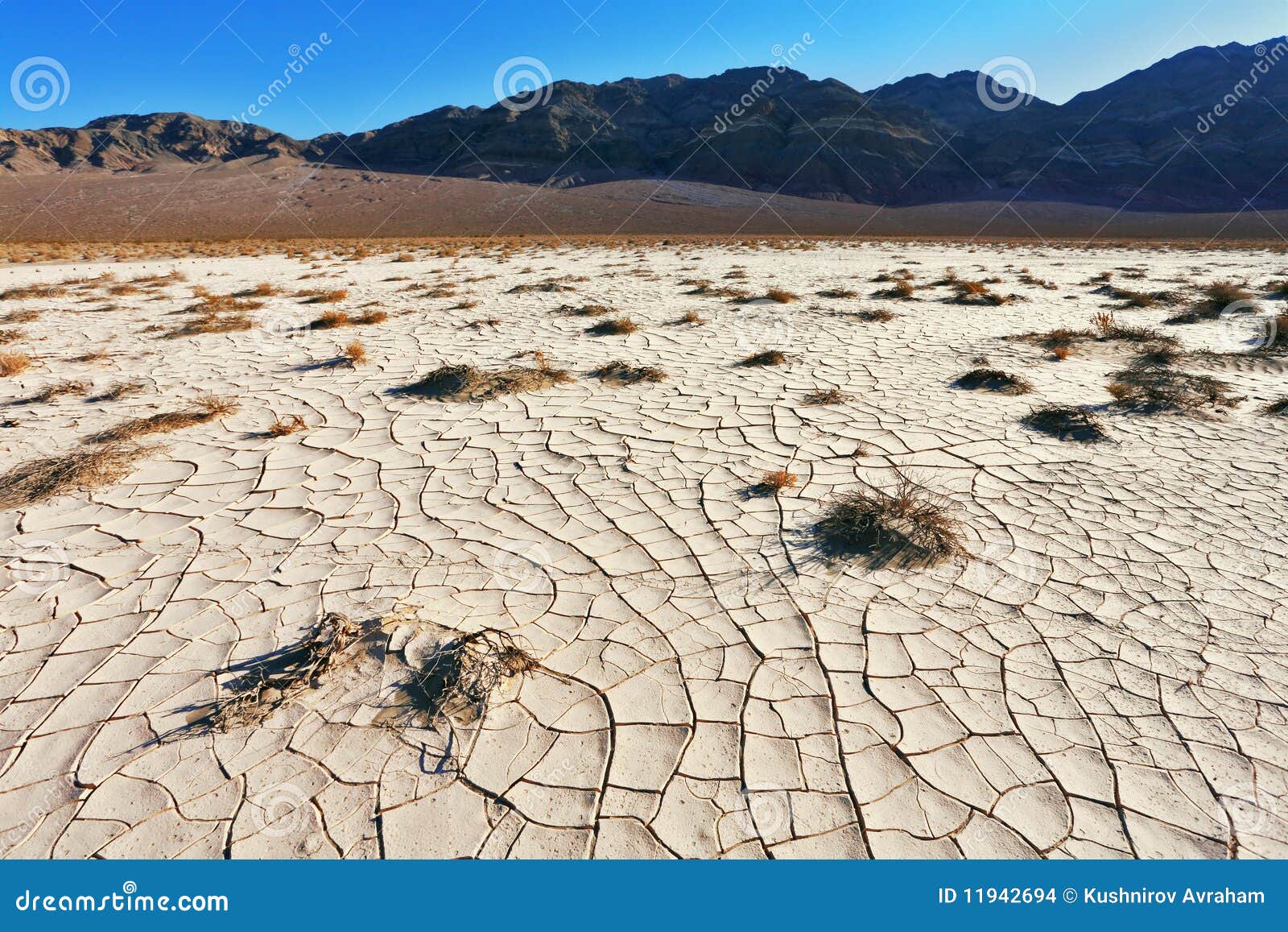 The Cracked Ground In Desert Stock Images - Image: 11942694