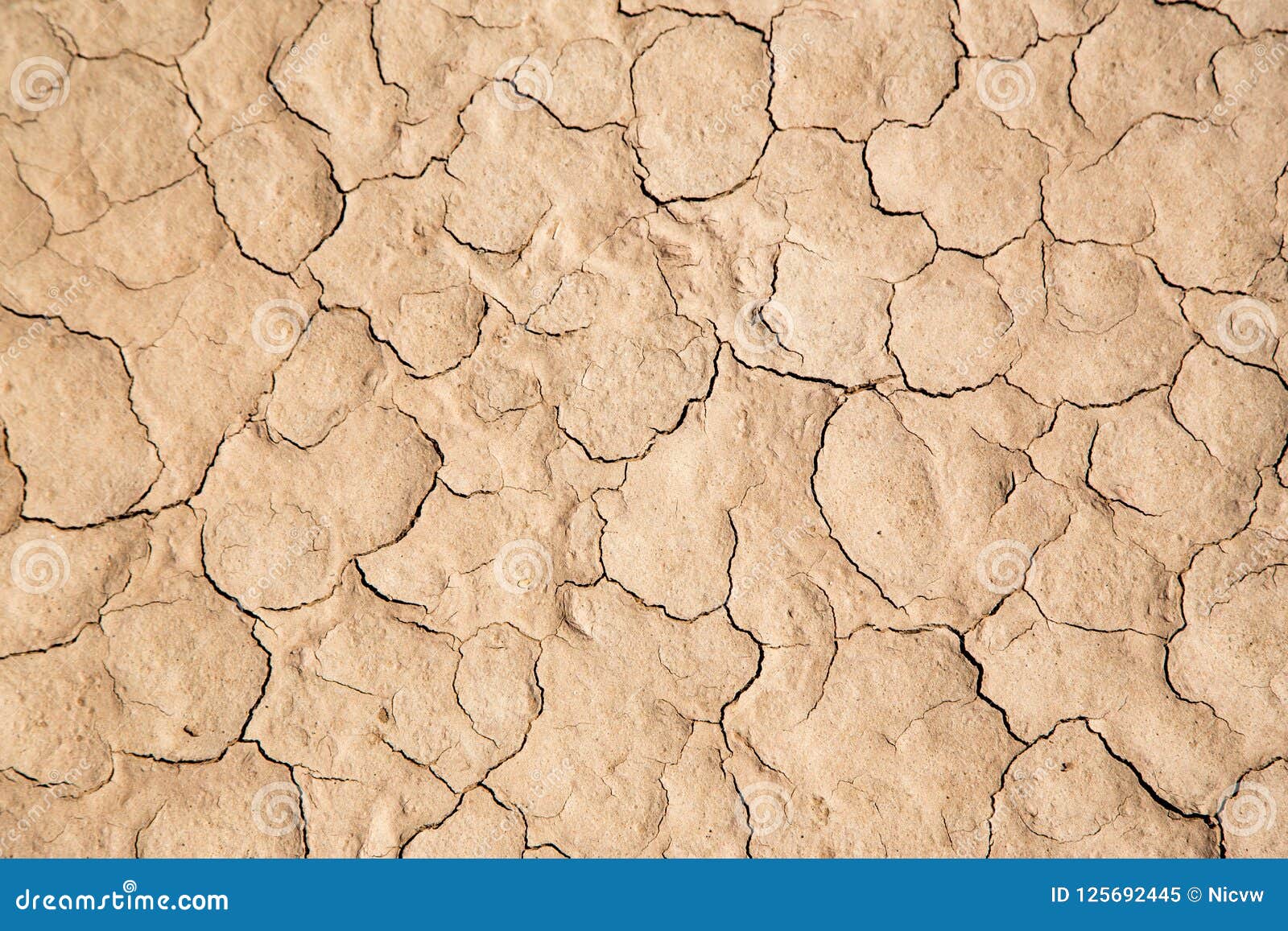 Cracked Ground in the Desert Stock Image - Image of soil, ground: 125692445