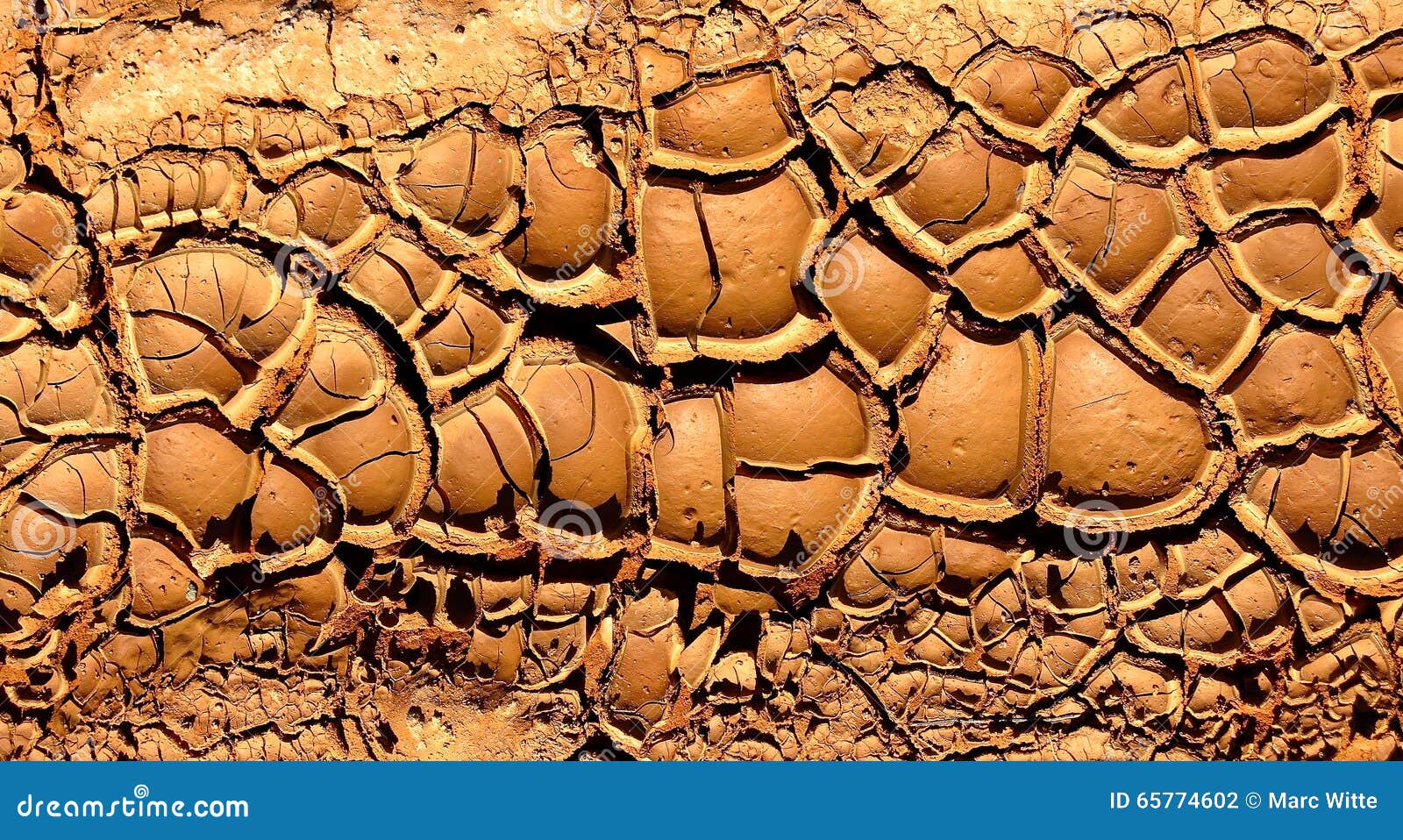 Cracked ground. Desert stock photo. Image of global, dryness - 65774602