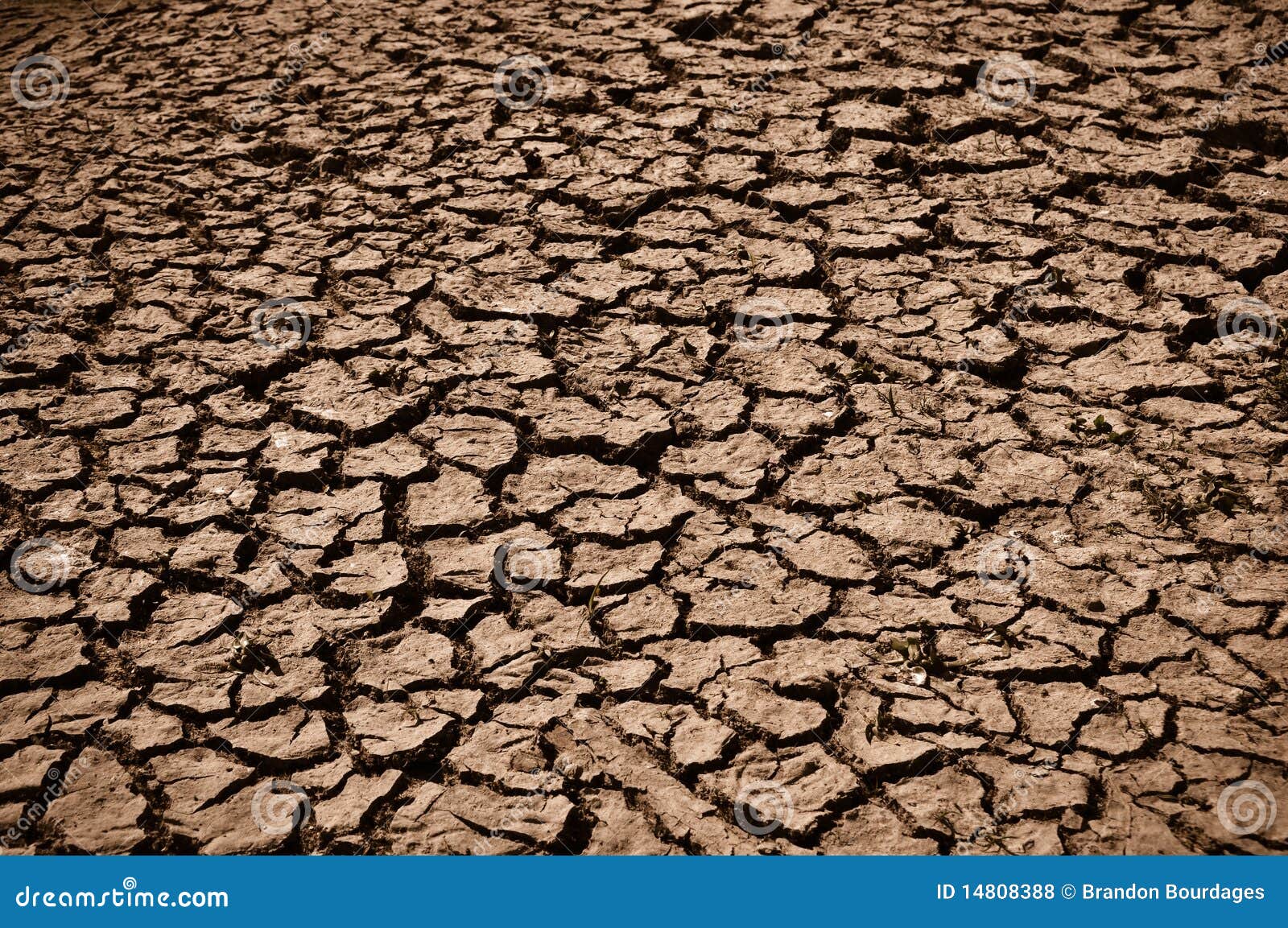Cracked Ground Dirt stock photo. Image of dirty, dead - 14808388