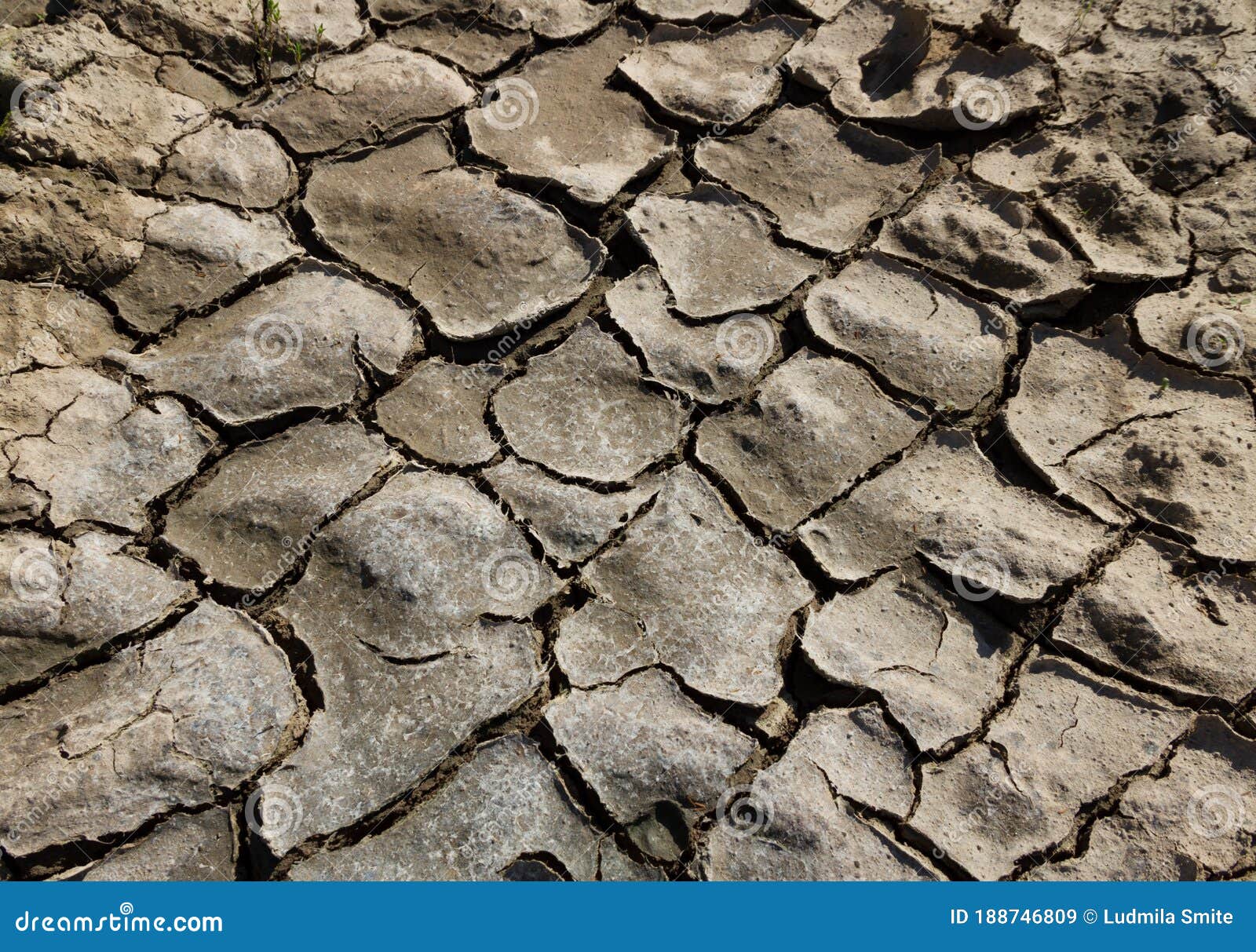 Cracked ground on a field stock image. Image of global - 188746809