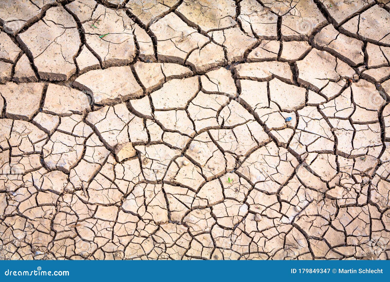 Cracked Ground on the Field Stock Image - Image of dried, scenic: 179849347