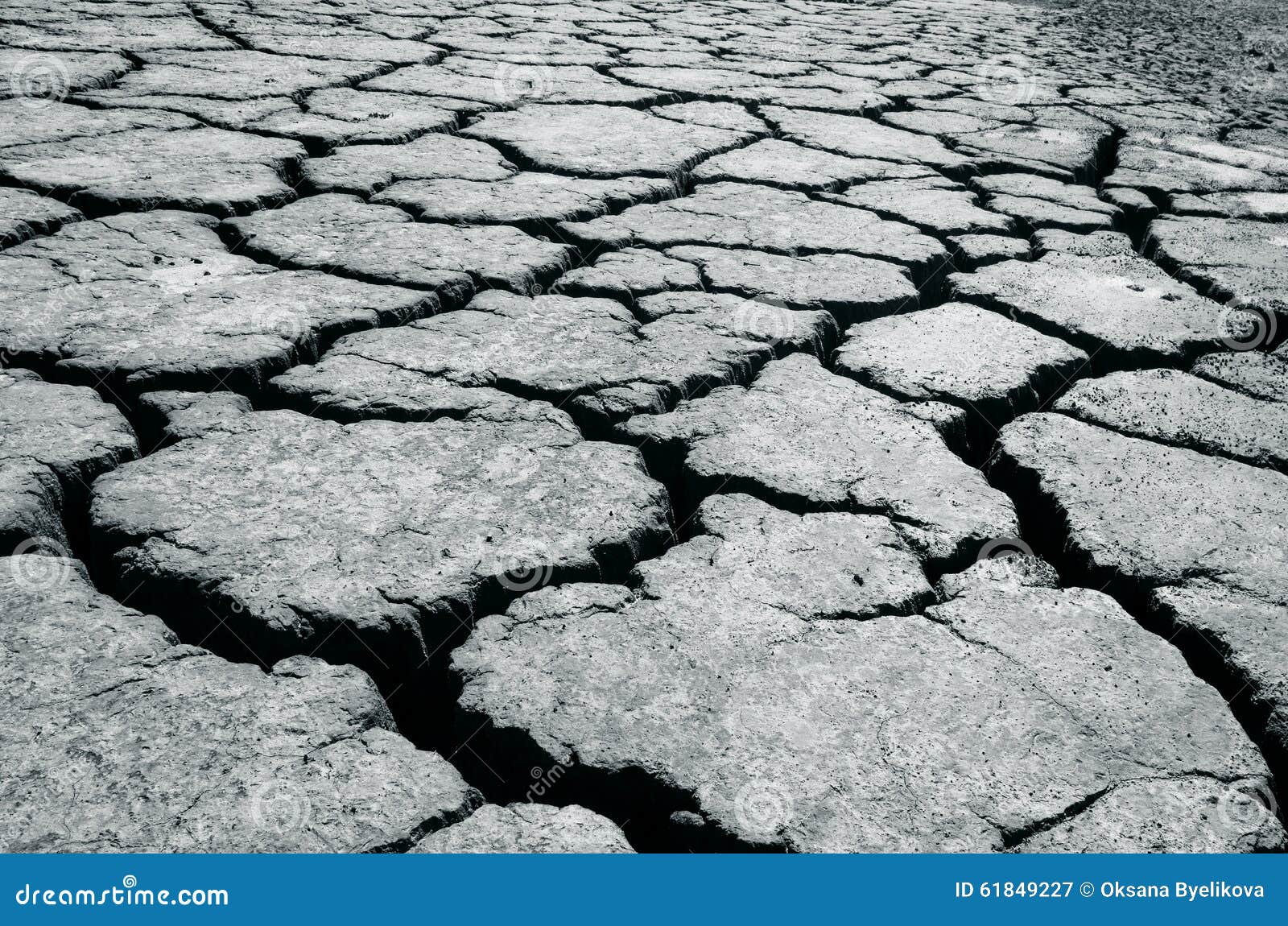 Cracked ground stock image. Image of barren, environment - 61849227