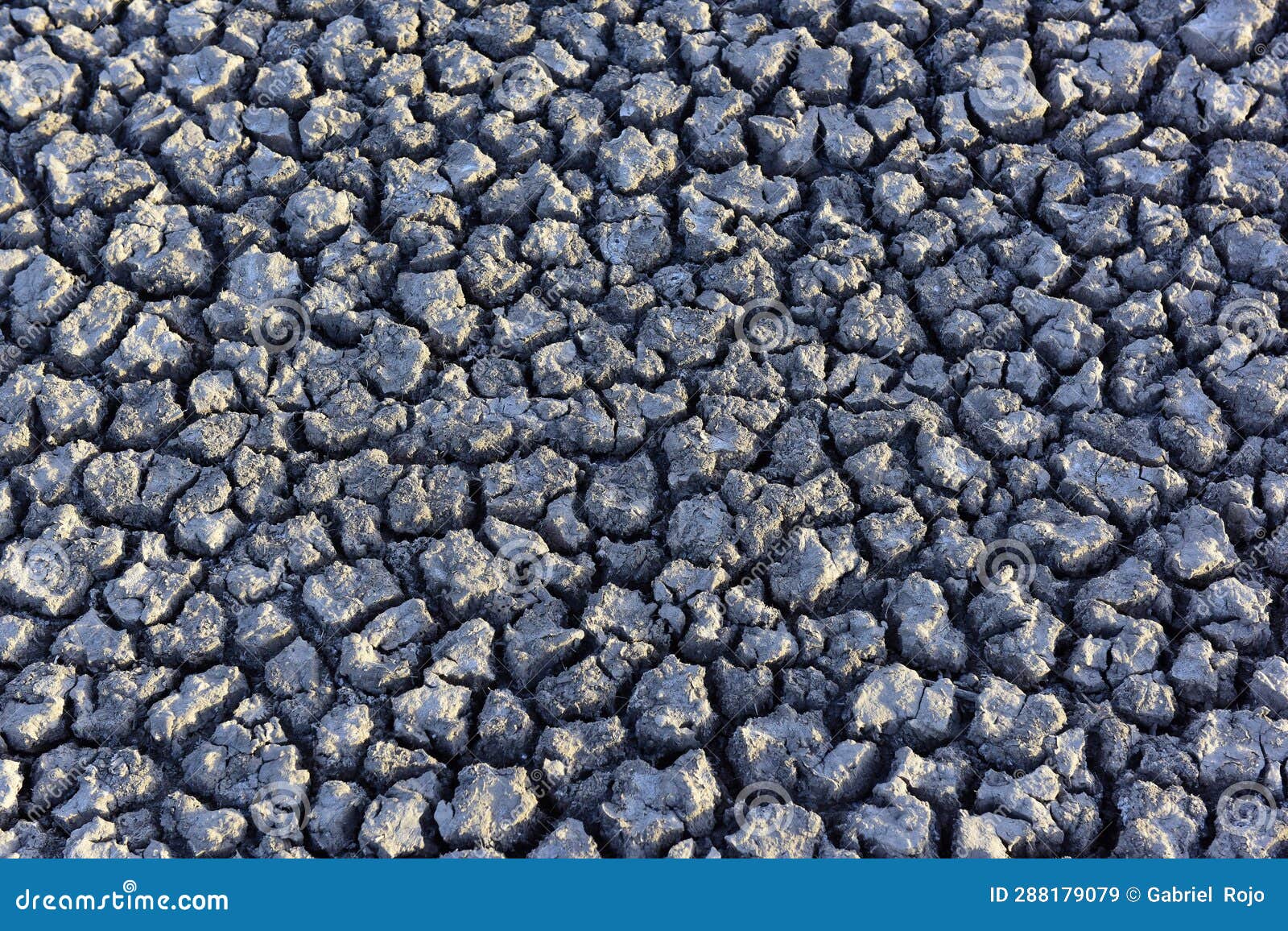 Cracked Ground Pattern in the Desert, Stock Image - Image of pattern ...