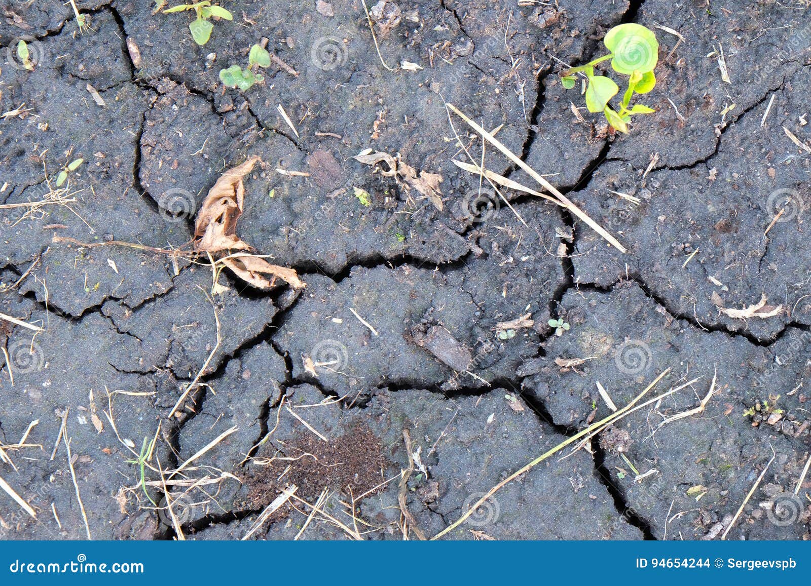 Cracked ground after rain stock photo. Image of ground - 94654244