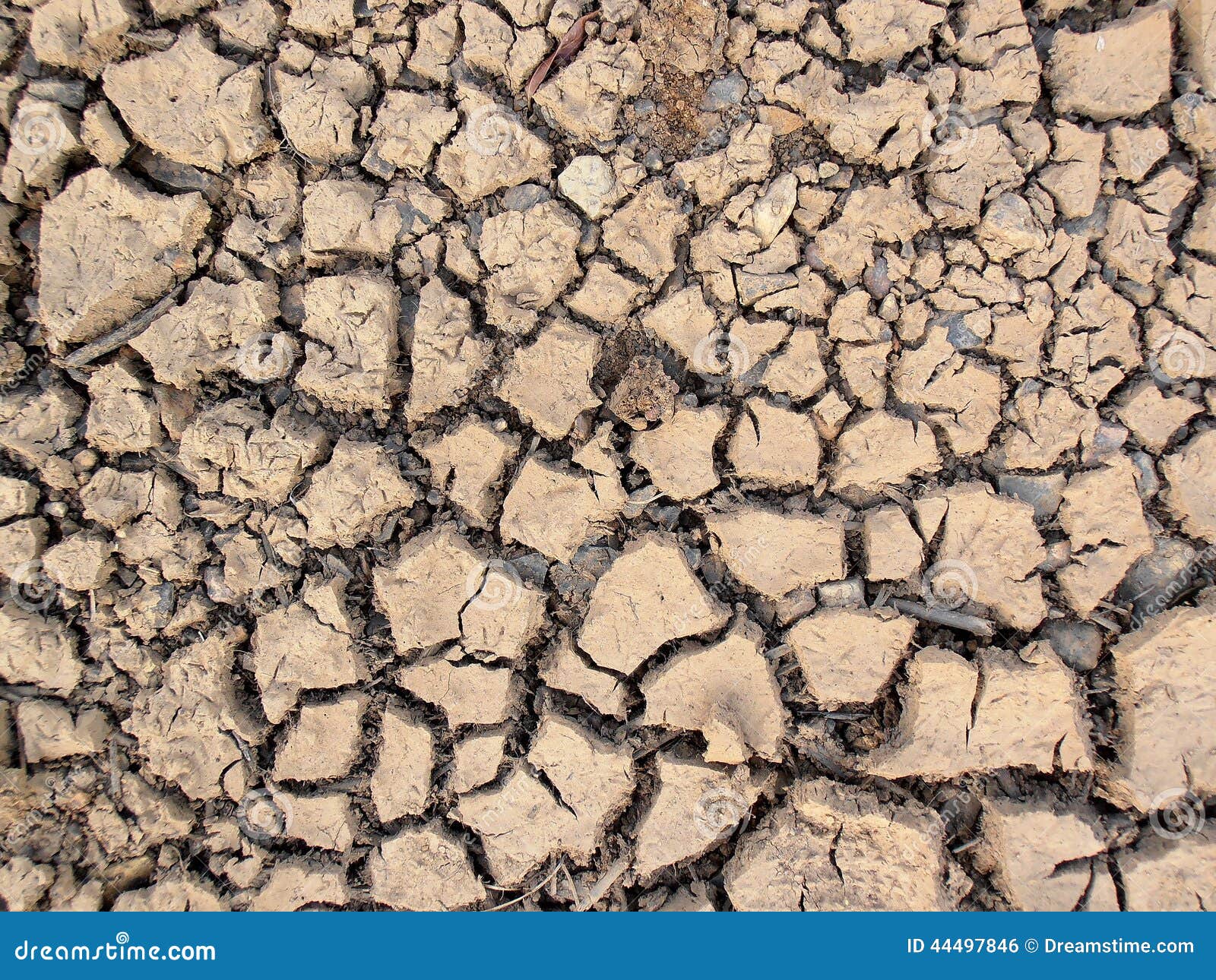 Cracked ground stock photo. Image of ground, shattered - 44497846