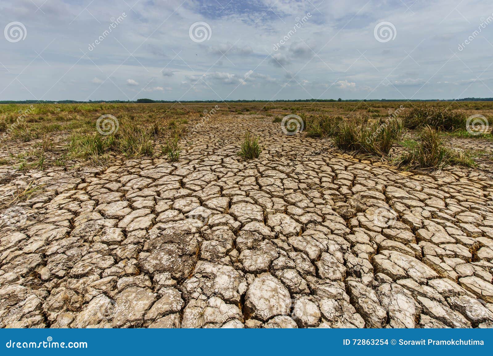 Cracked ground stock photo. Image of clay, natural, environment - 72863254