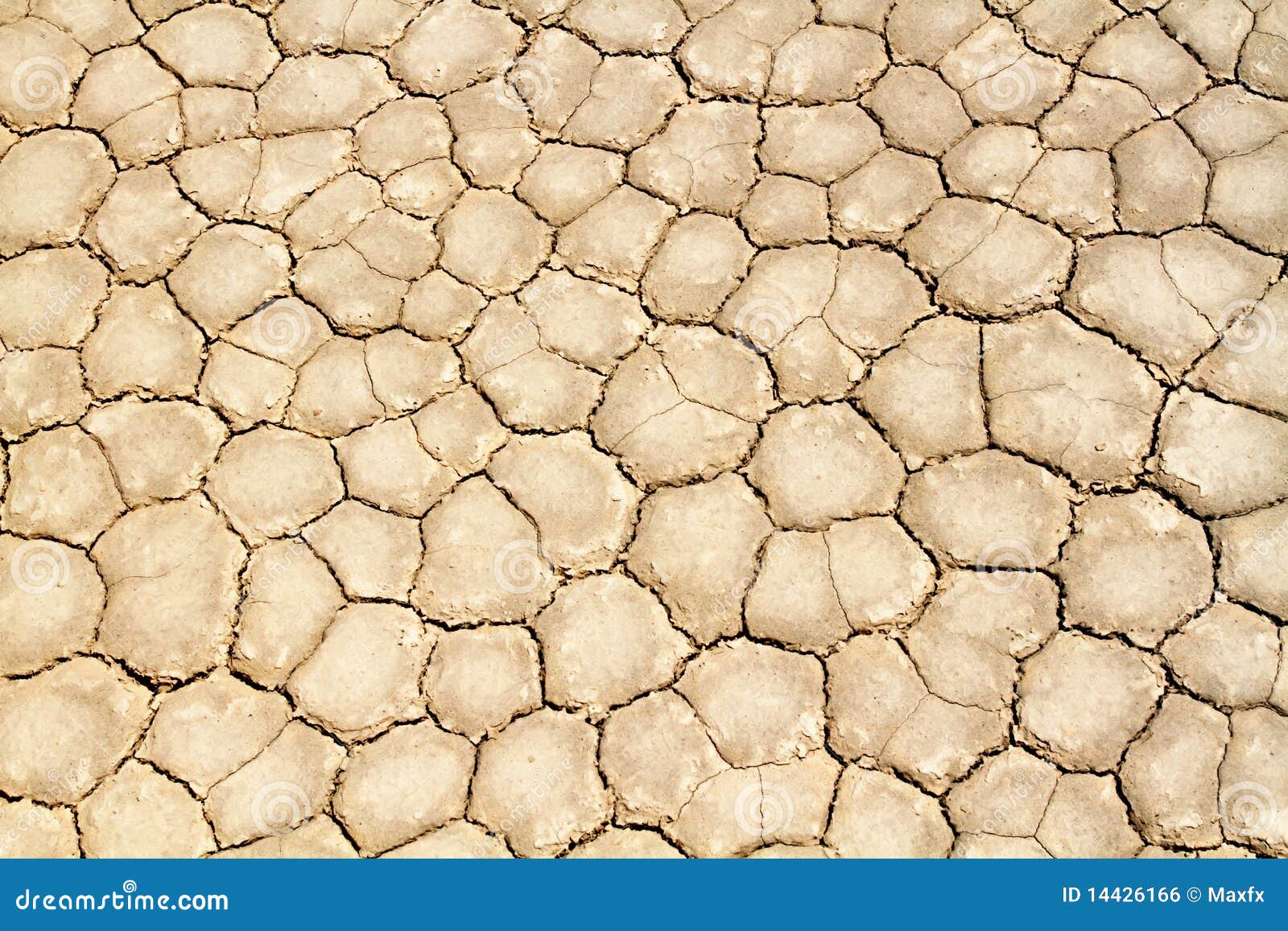 Cracked ground texture stock photo. Image of closeup - 14426166
