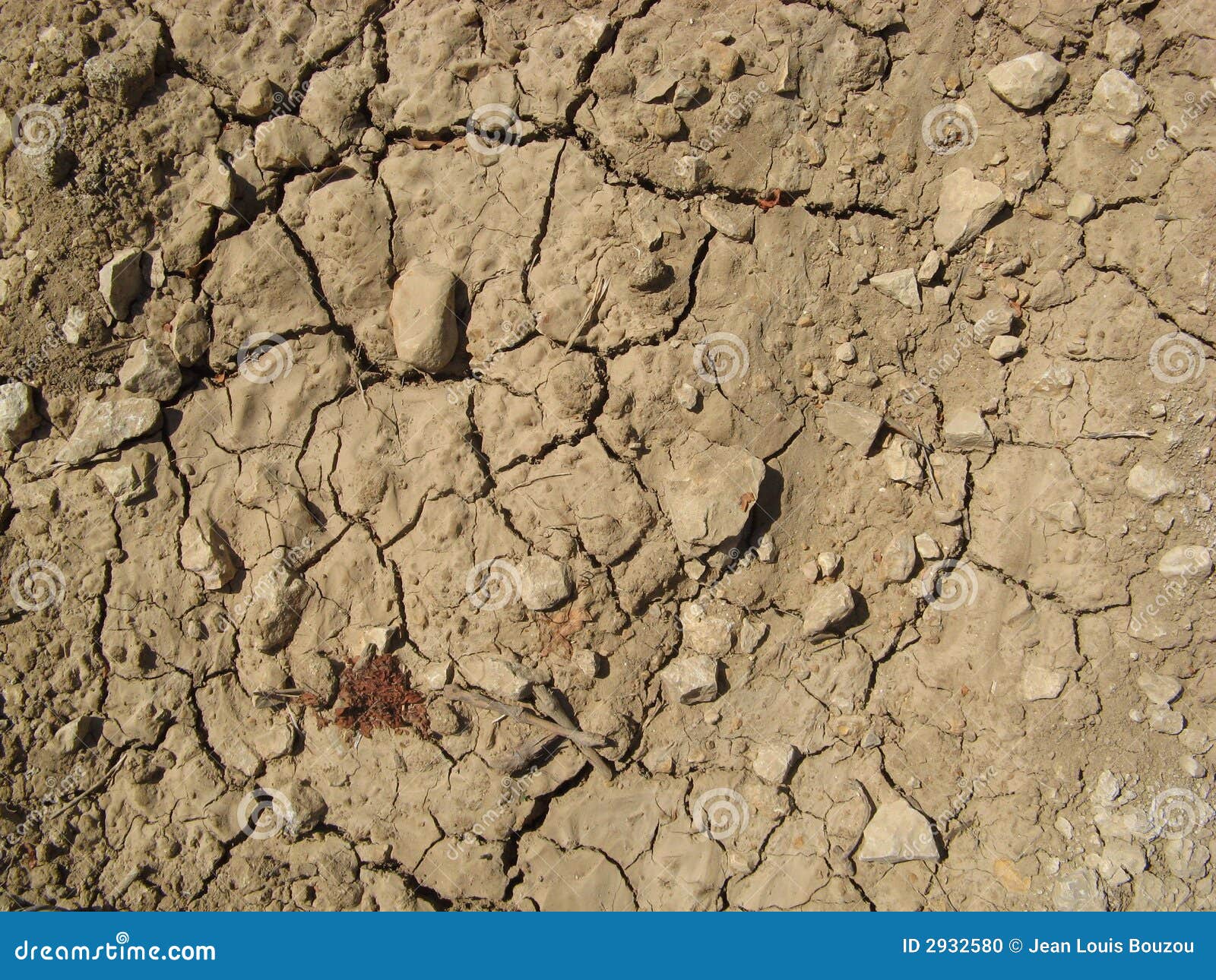 Cracked ground texture stock photo. Image of earth, crack - 2932580