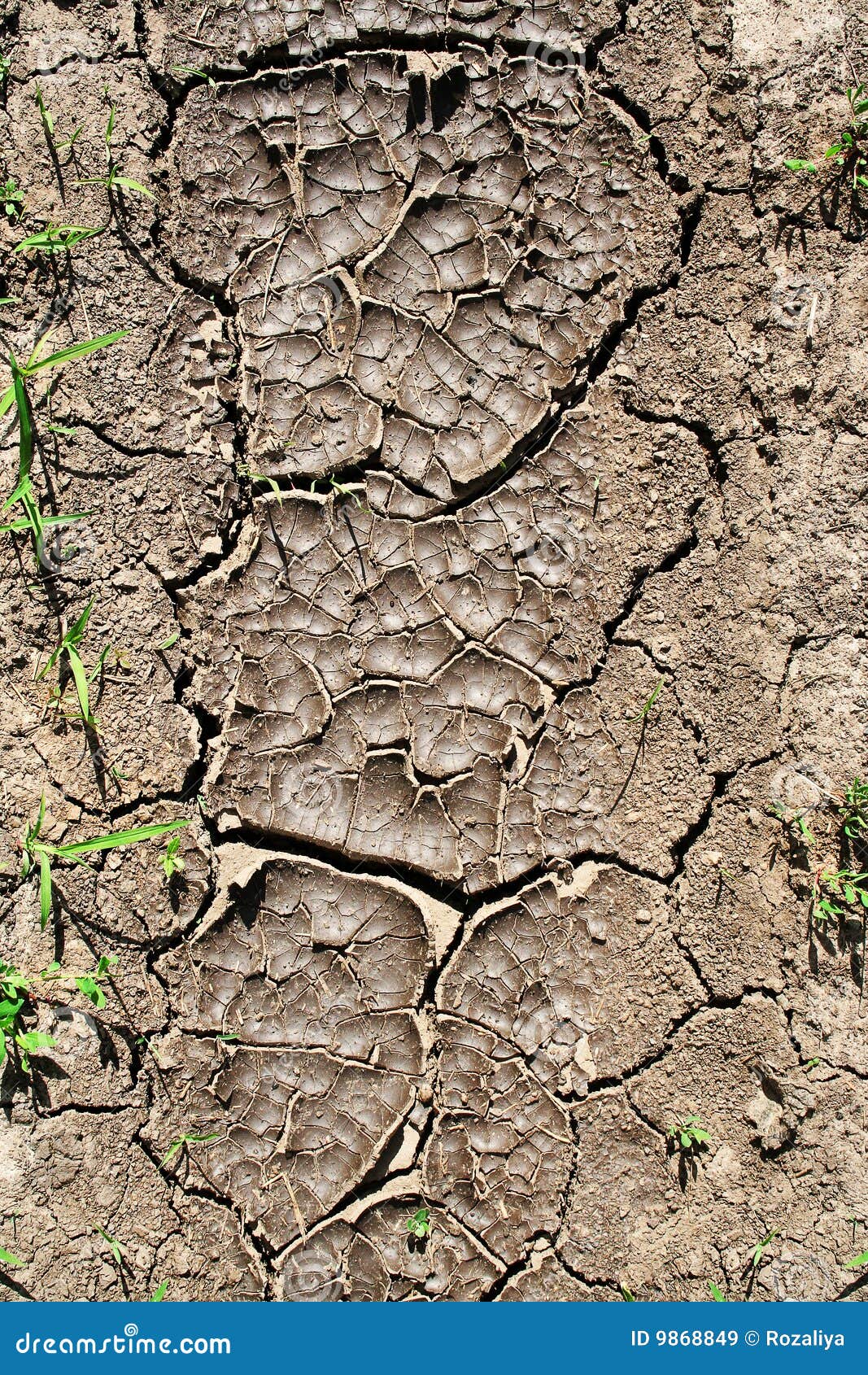 Cracked Ground Texture Picture. Image: 9868849