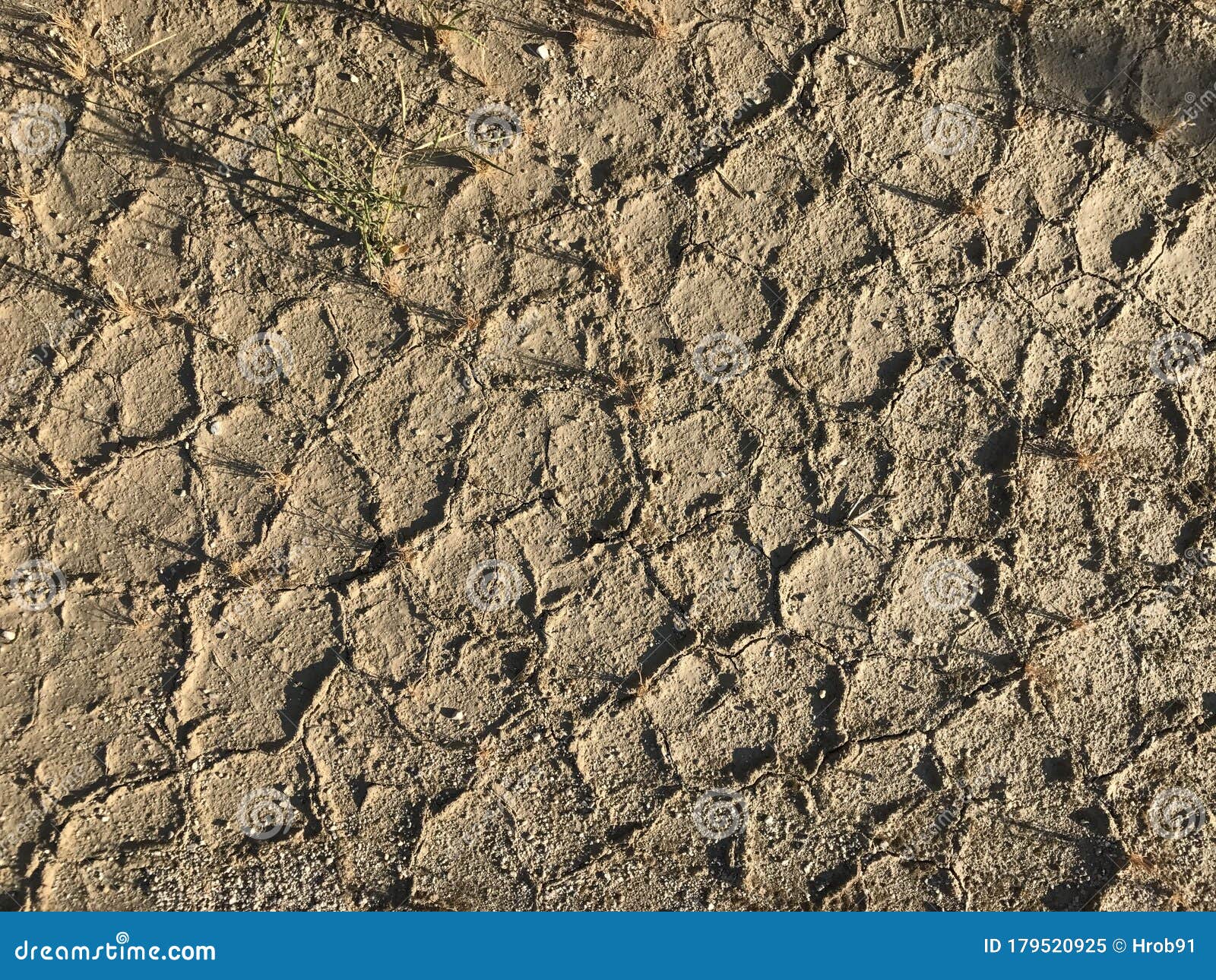Cracked ground texture stock image. Image of terrain - 179520925