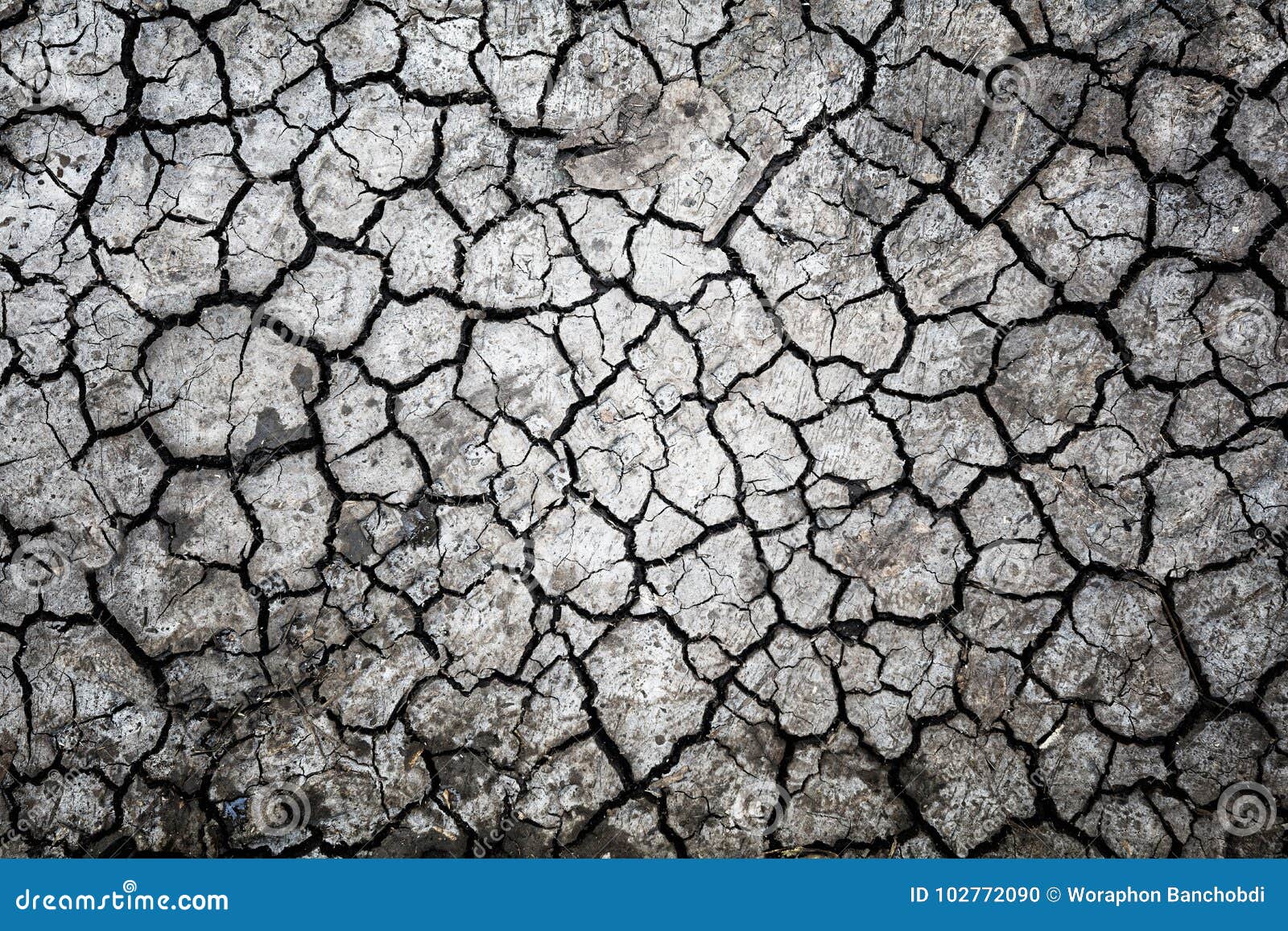 37,379 Cracked Ground Texture Stock Photos - Free & Royalty-Free Stock ...