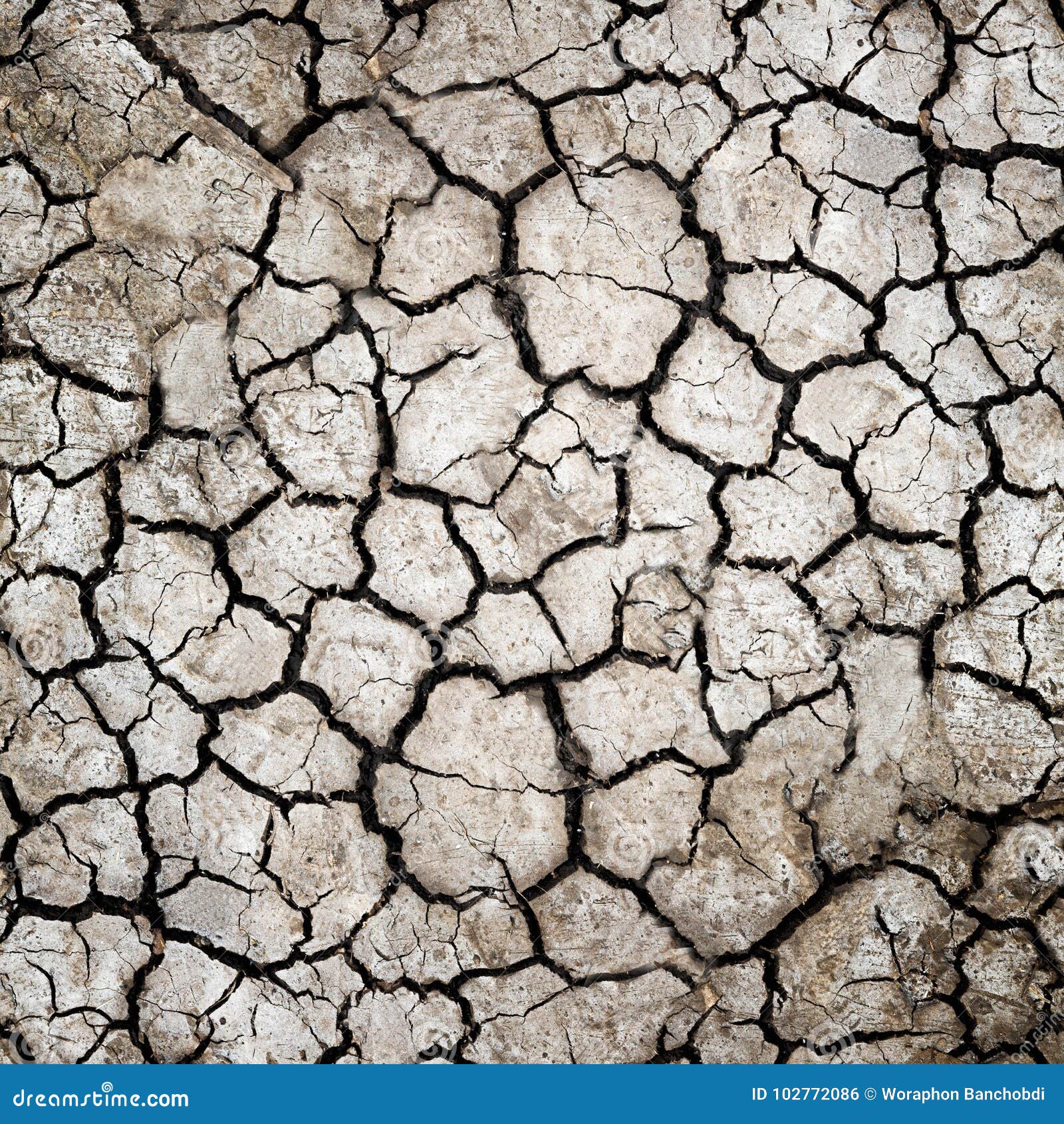 Cracked ground texture stock photo. Image of drought - 102772086