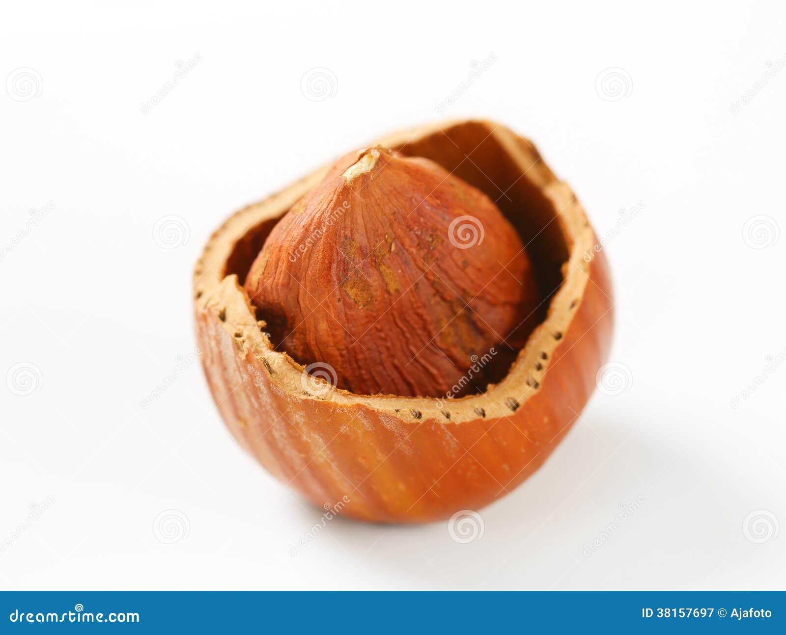 Cracked hazelnut stock image. Image of fresh, food, isolated - 38157697