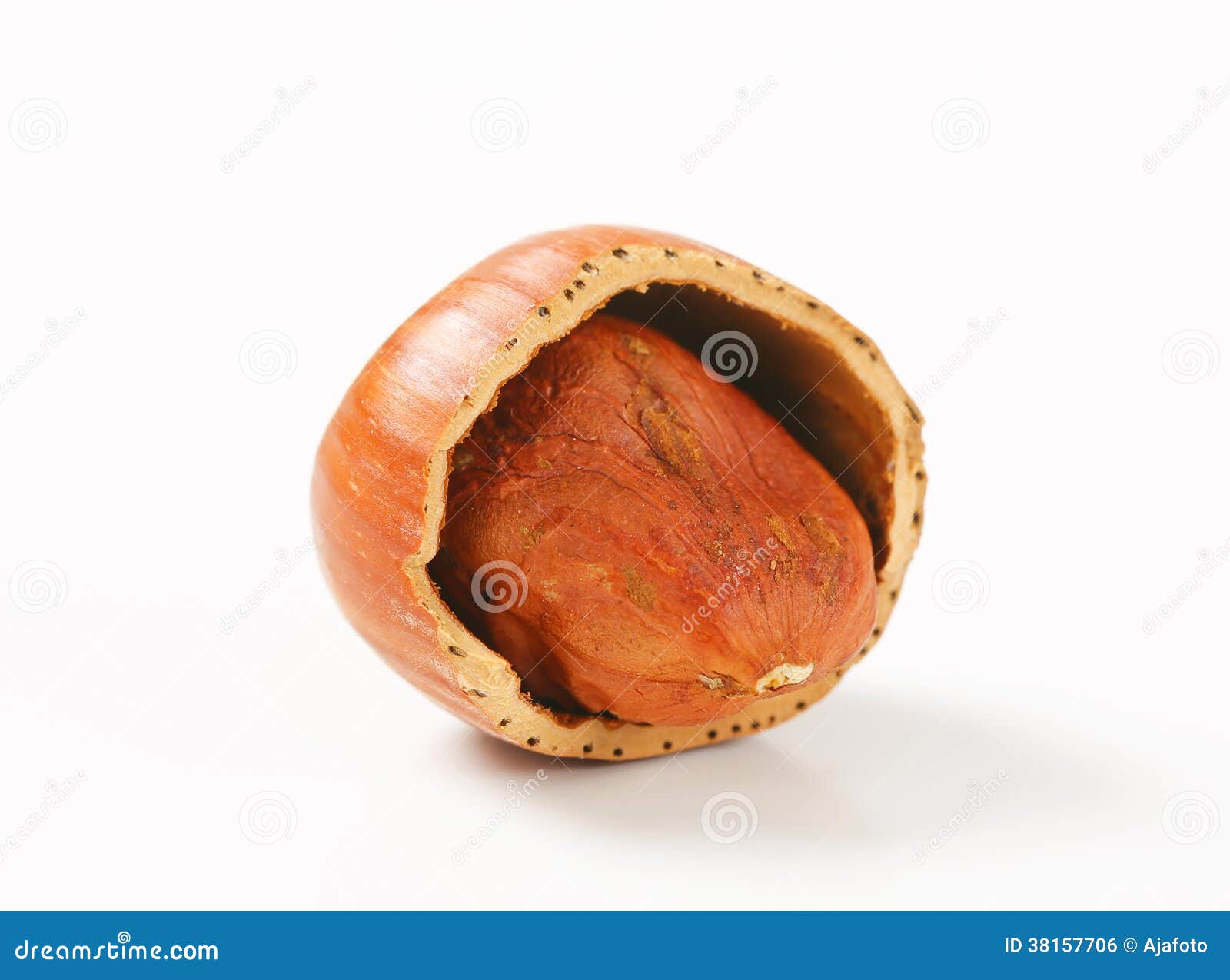 Cracked hazelnut stock photo. Image of food, closeup - 38157706